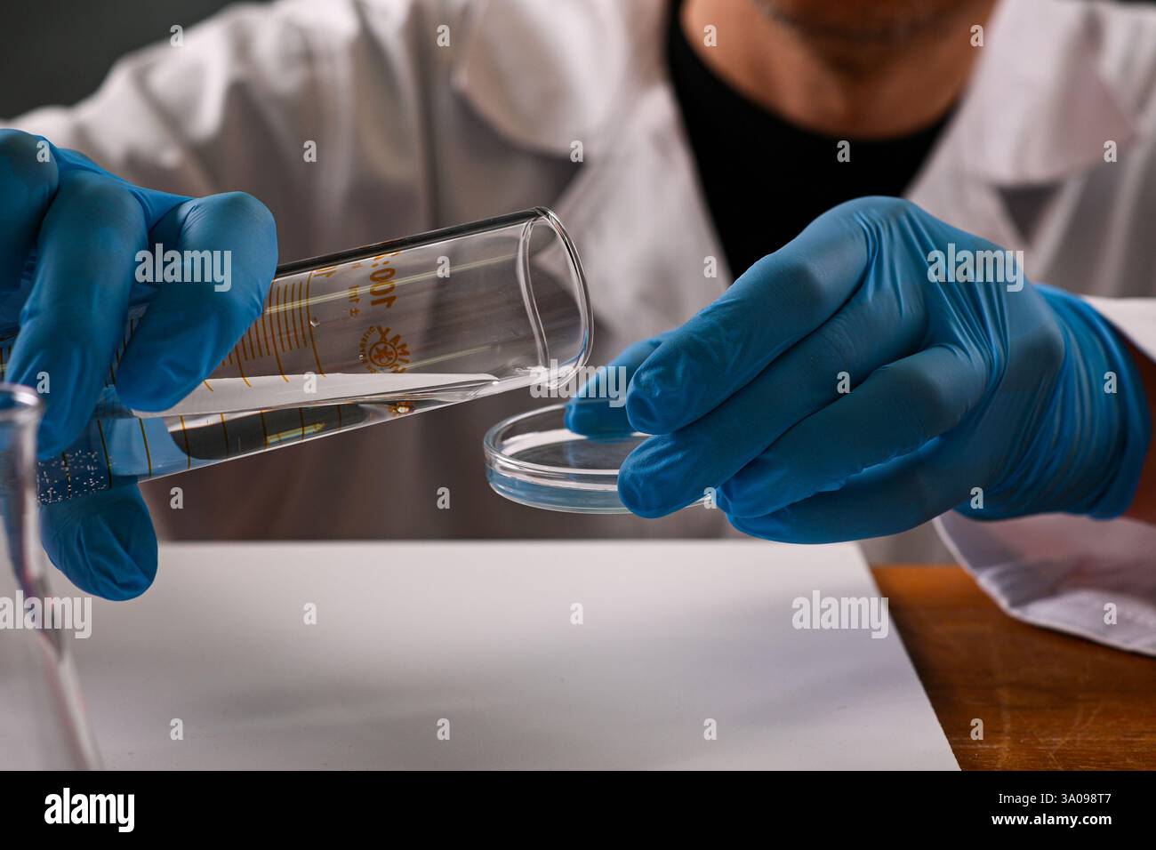Scientist wearing blue gloves pouring liquid from graduated cylinder ...