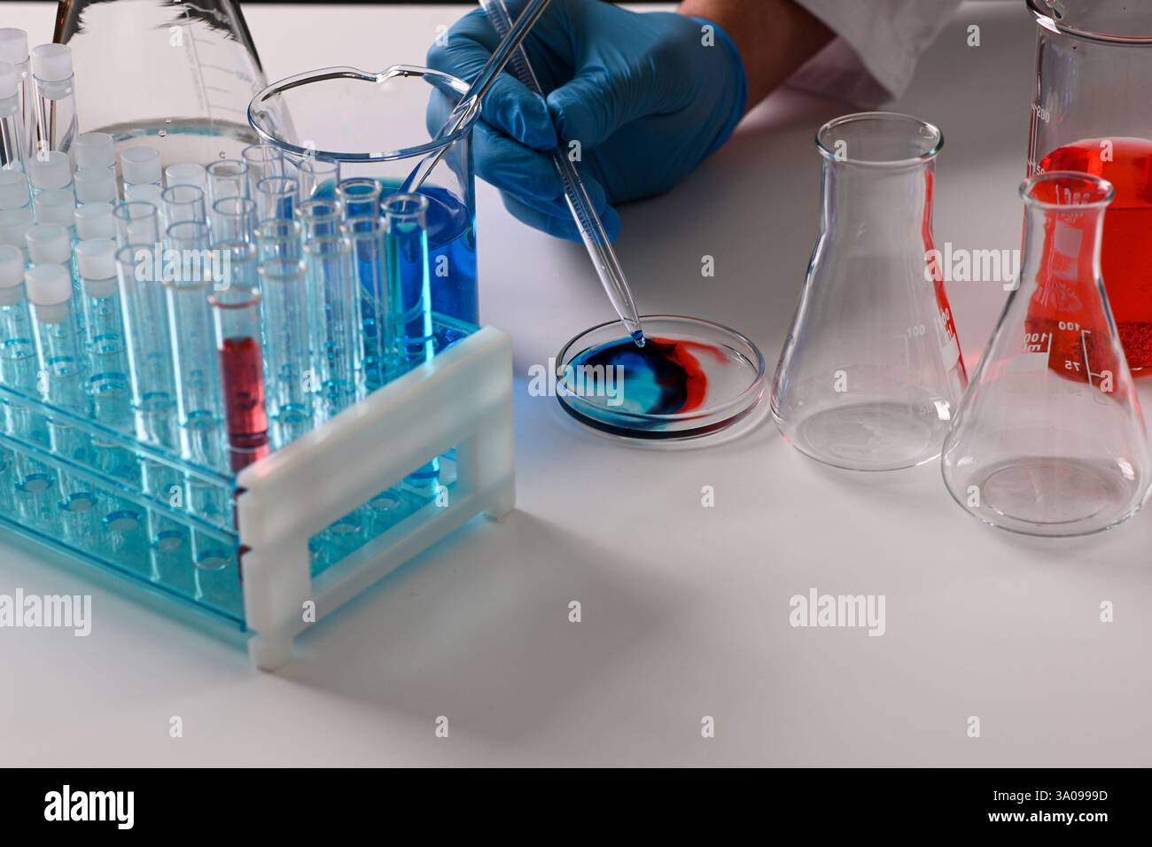 Gloved hand using pipette adding drop of reagent to petri dish with ...