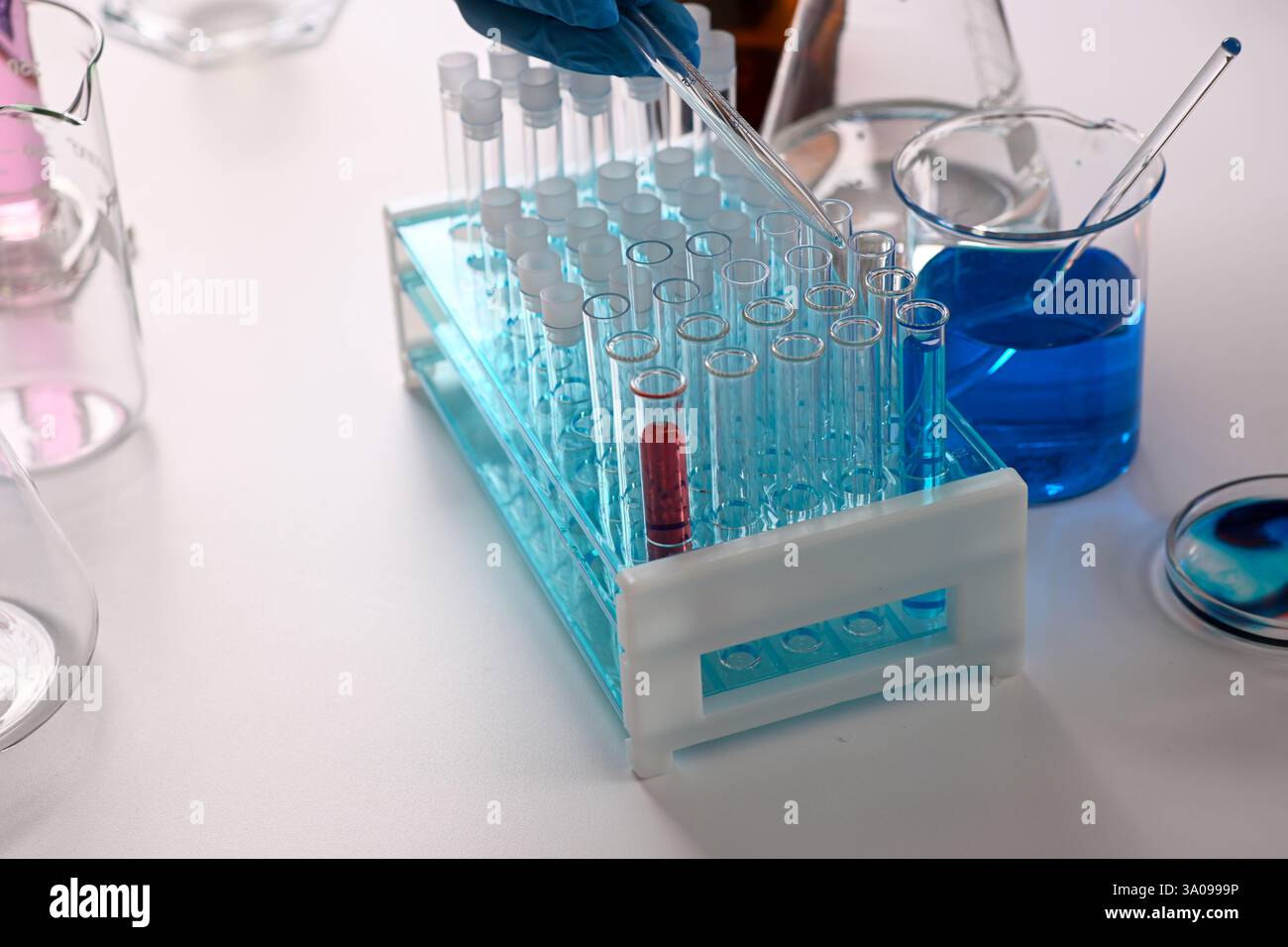 Scientist using pipette to analyze test tubes filled with blue and red ...