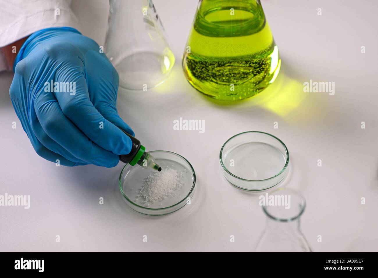 Gloved hand adding reagent to petri dish with white powder during ...