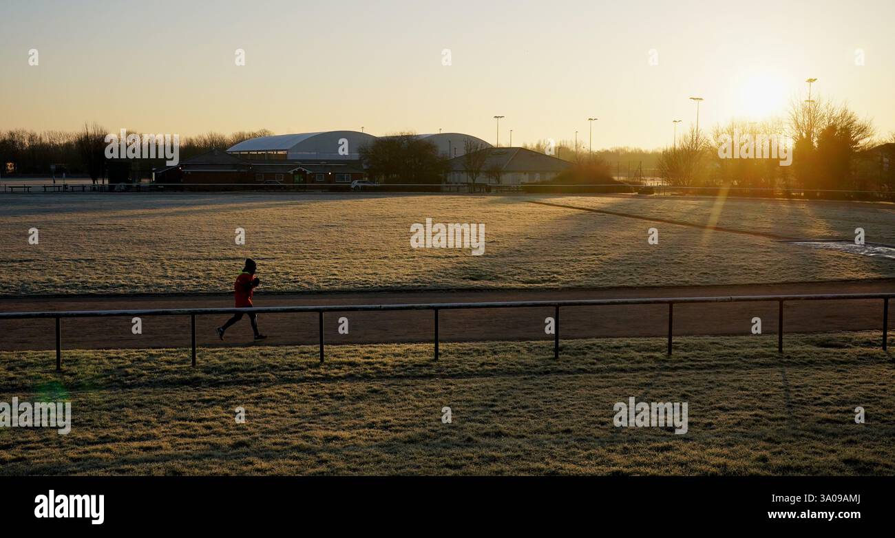 An early morning visitor braves frosty conditions in Braywick Park ...