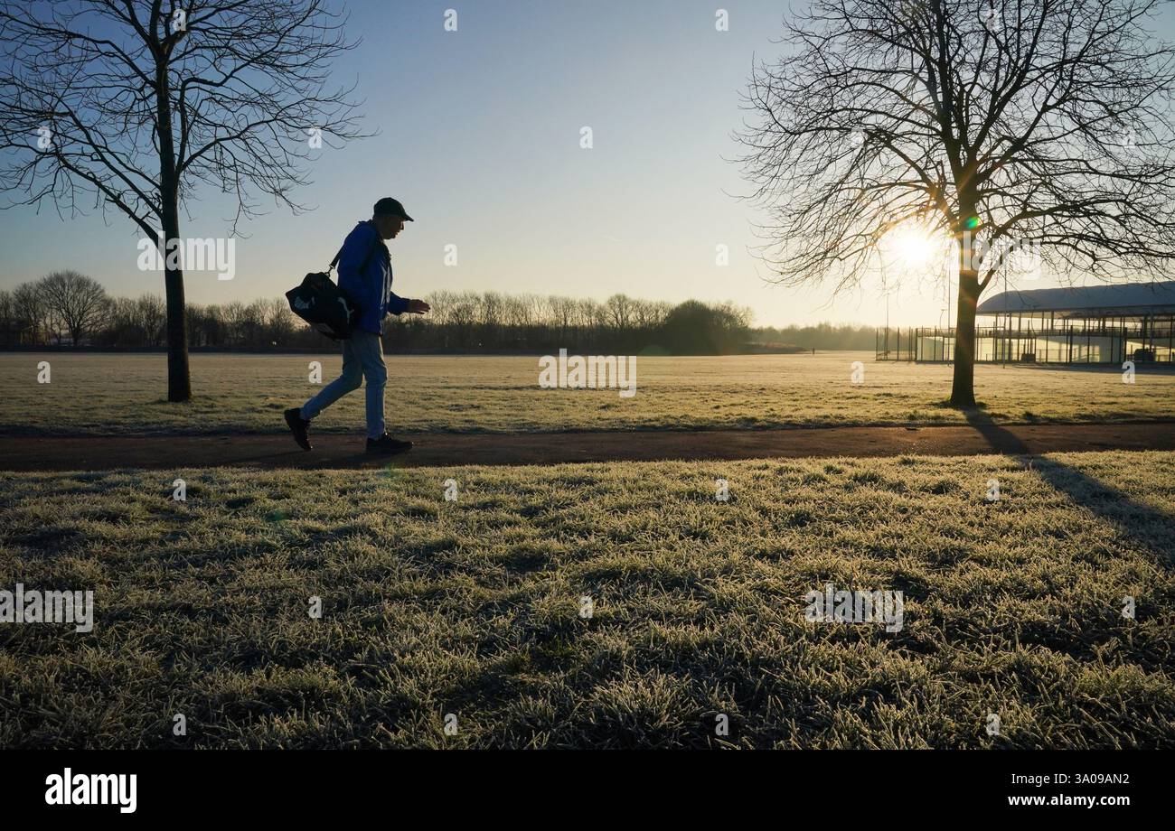 An early morning visitor braves frosty conditions in Braywick Park ...