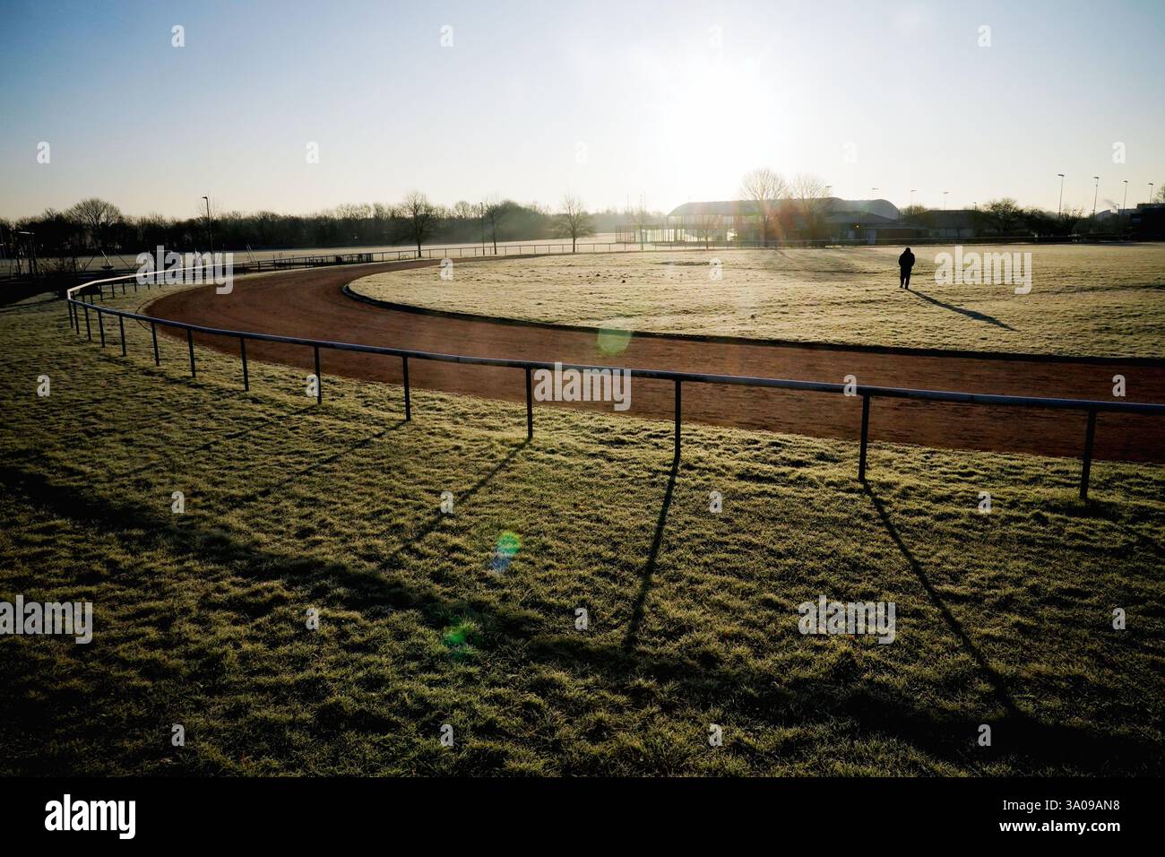 An early morning visitor braves frosty conditions in Braywick Park ...