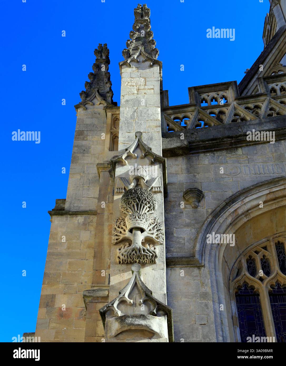 Side detail of a carved olive tree - in honour of Bishop Oliver King ...