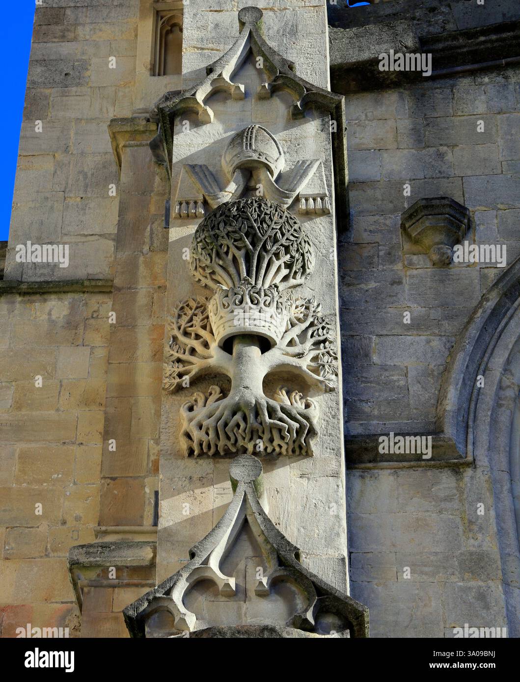 Side detail of a carved olive tree - in honour of Bishop Oliver King ...