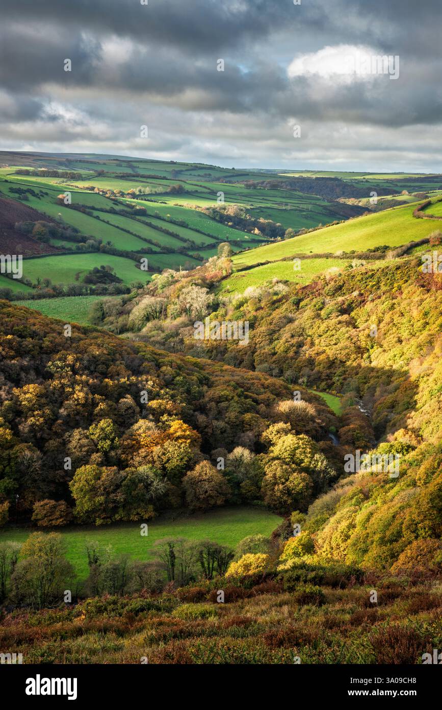The East Lyn Valley, or Brendon Valley, and Ashton Cleave from County ...