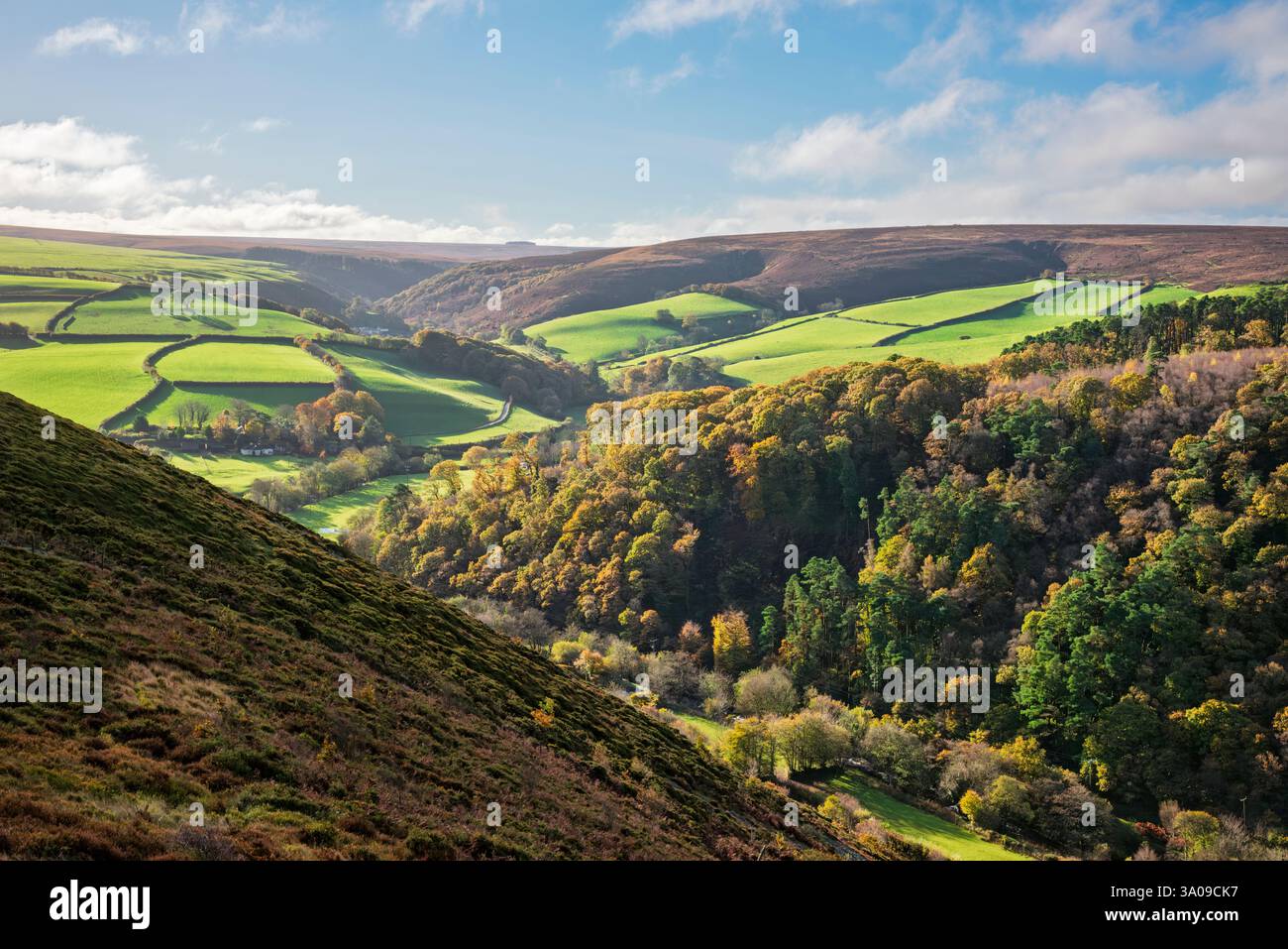 The East Lyn Valley with Doone Valley and Malmsmead Hill beyond from ...