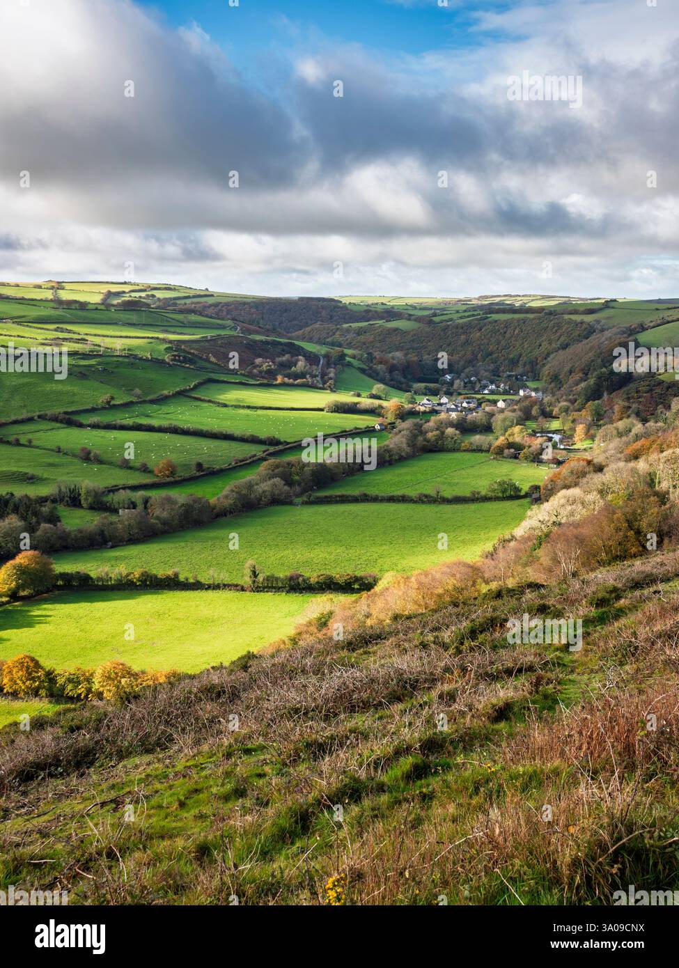 The hamlets of Leeford and Brendon in Brendon Valley from the Coleridge ...