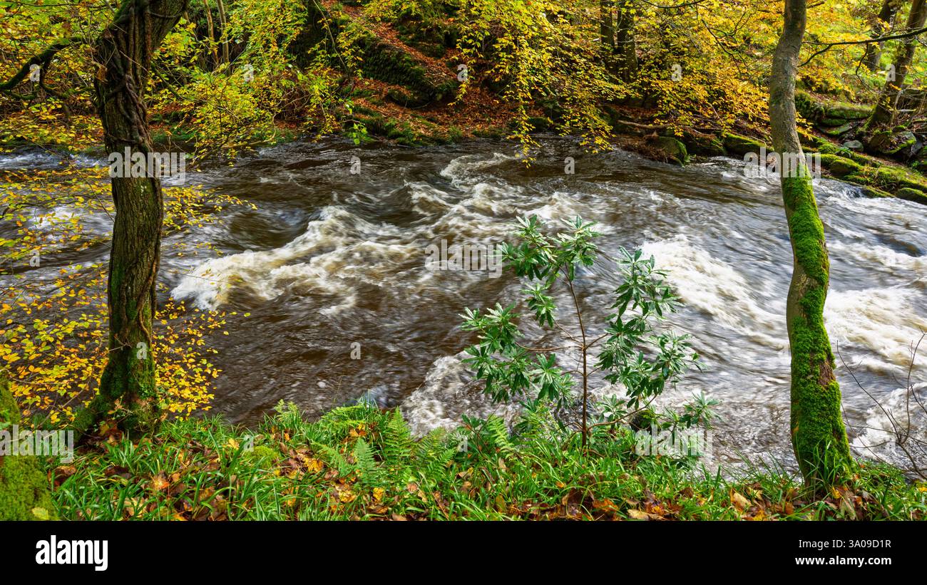 The East Lyn River in the Brendon Valley from the Coleridge Way, Exmoor ...
