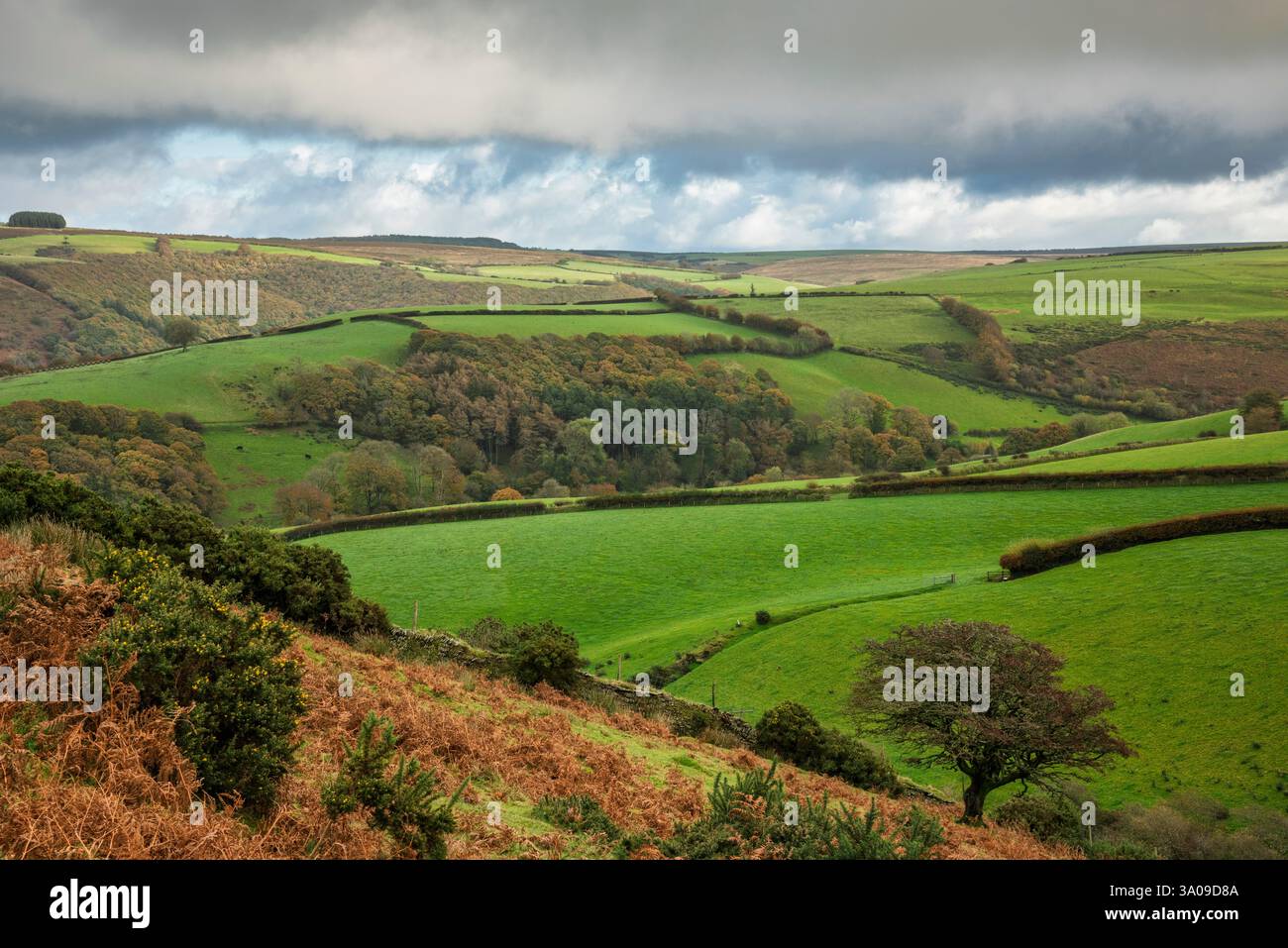 Wat Combe and the Badgworthy Water Valley beyond near Malmsmead on the ...