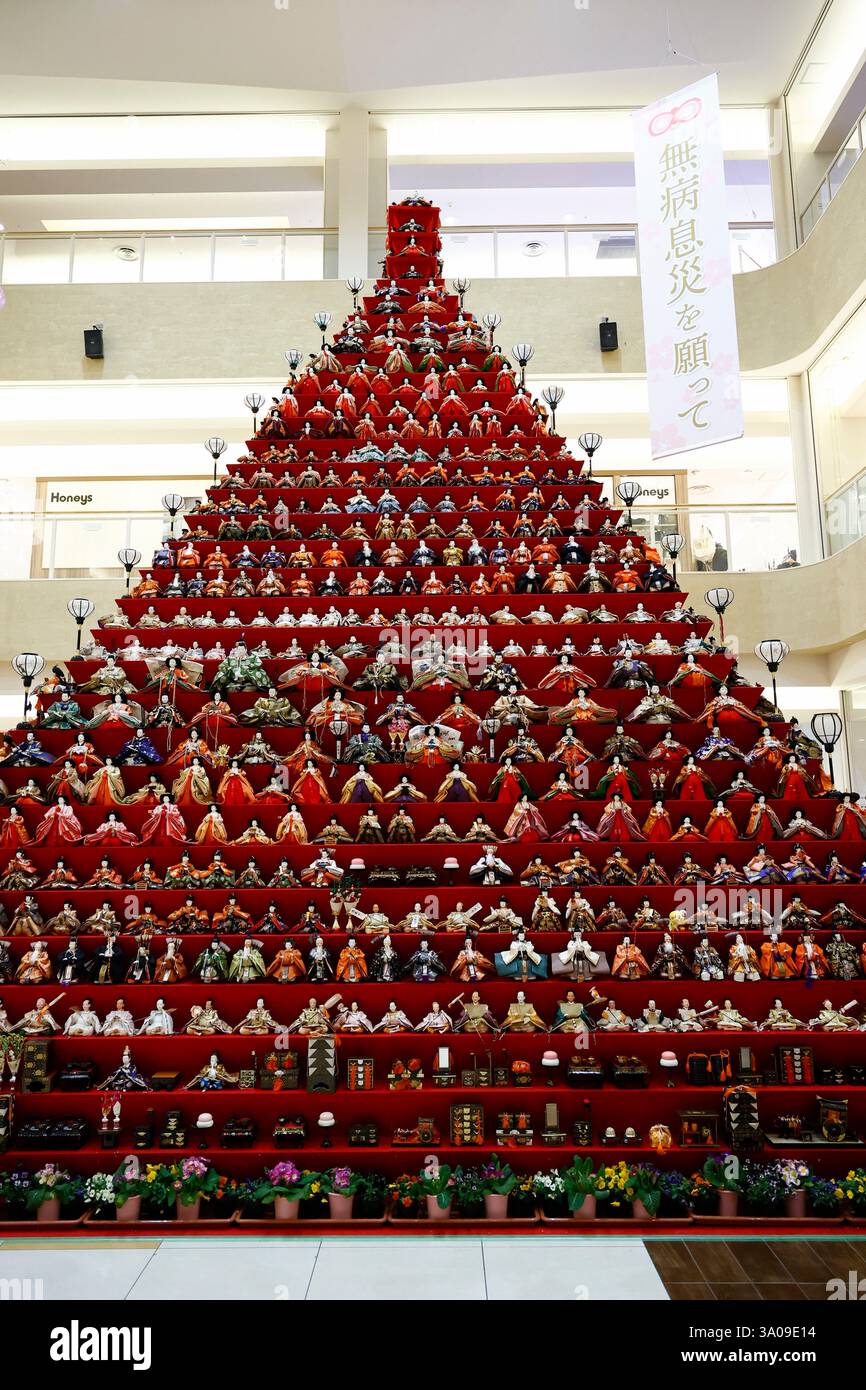 Saitama, Japan. 03rd Mar, 2025. A big 7-meter-tall doll pyramid is on ...