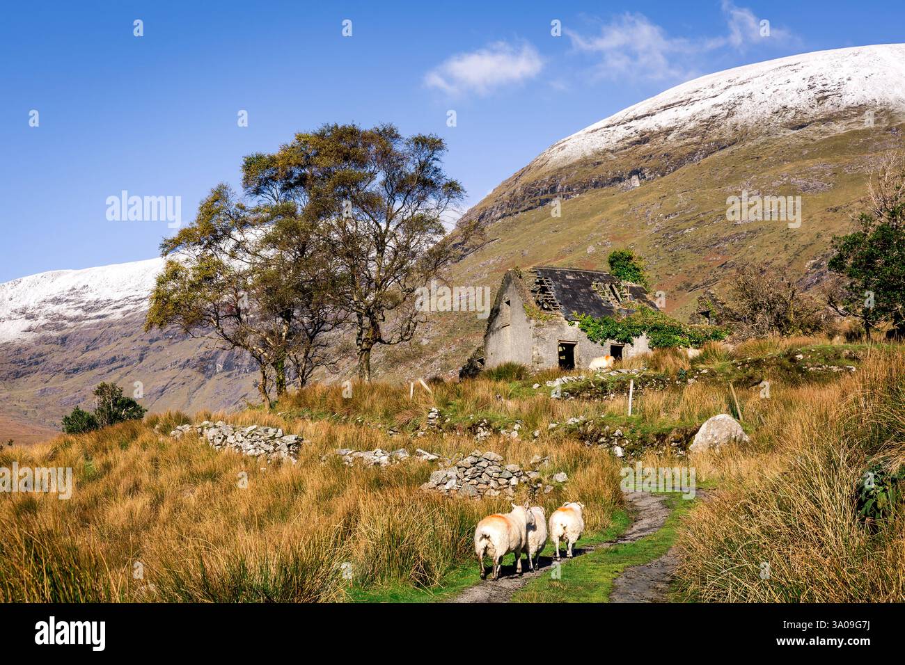 People killarney snow hi-res stock photography and images - Alamy