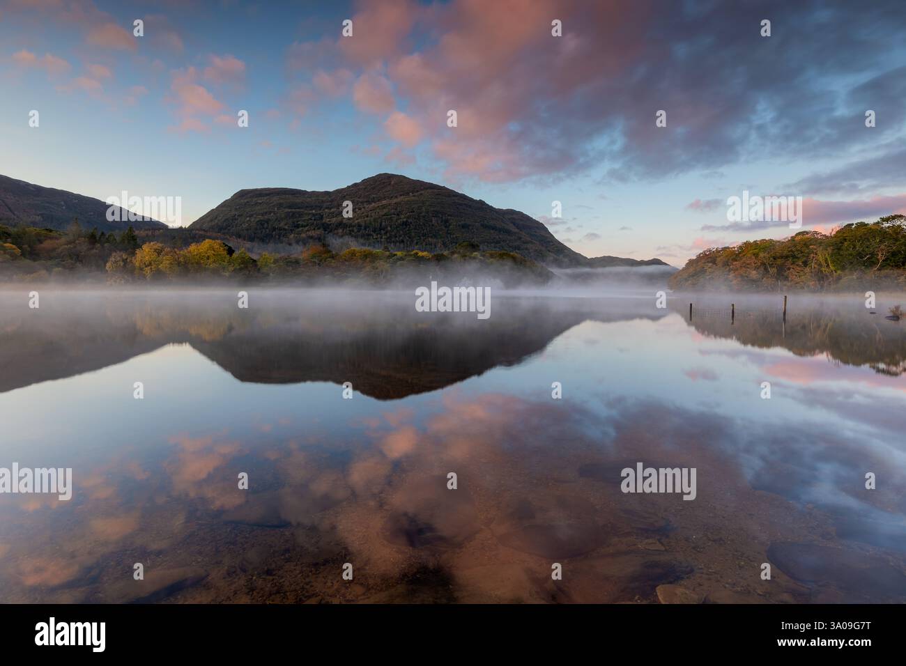Calm morning at Lake Muckross Killarney National Park, Co. Kerry ...