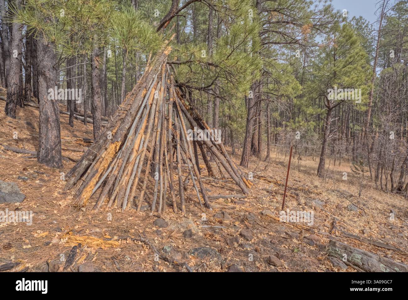 Teepee in the Coconino National Forest AZ Stock Photo - Alamy