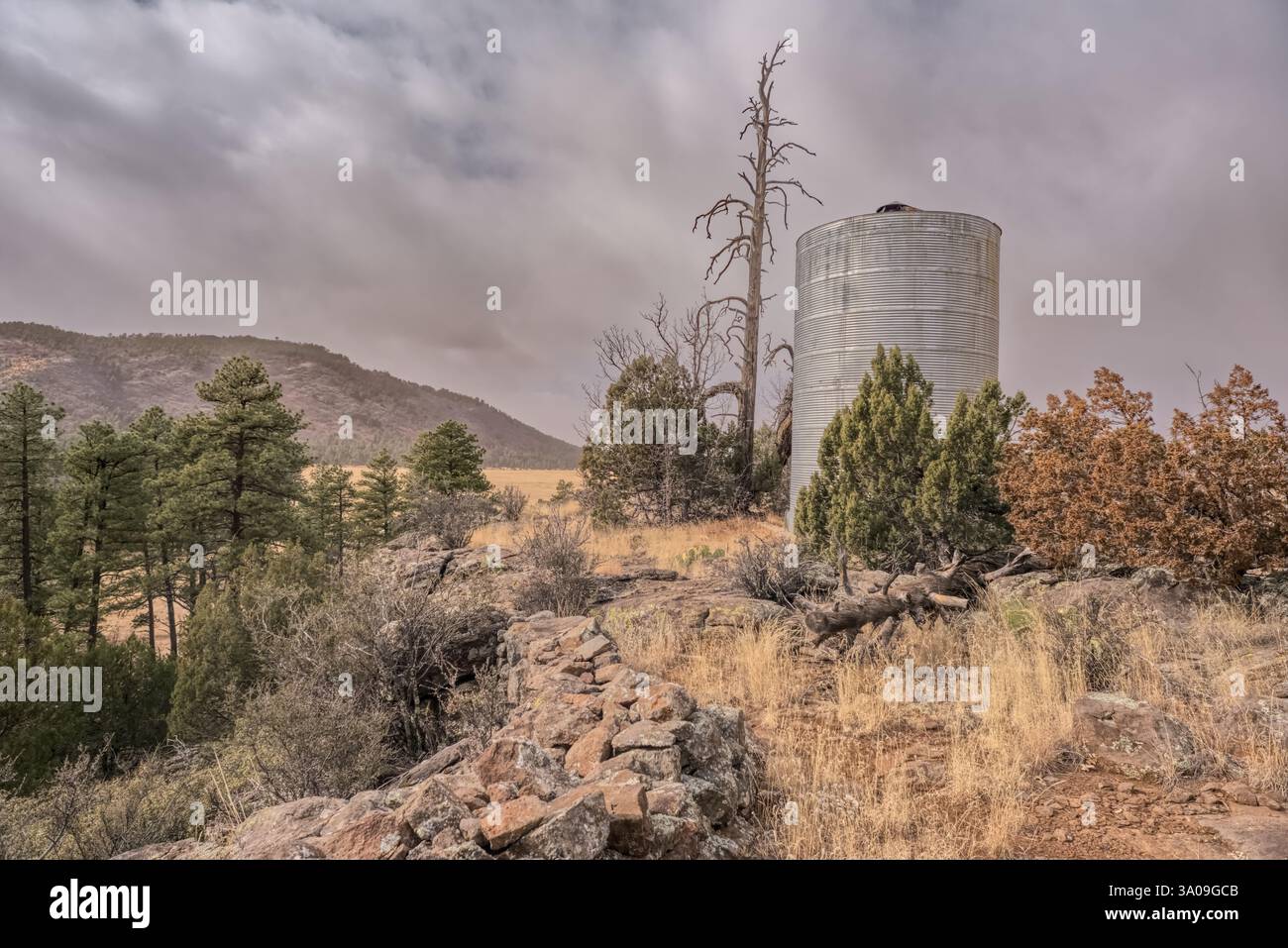 Water storage tank arizona hi-res stock photography and images - Alamy