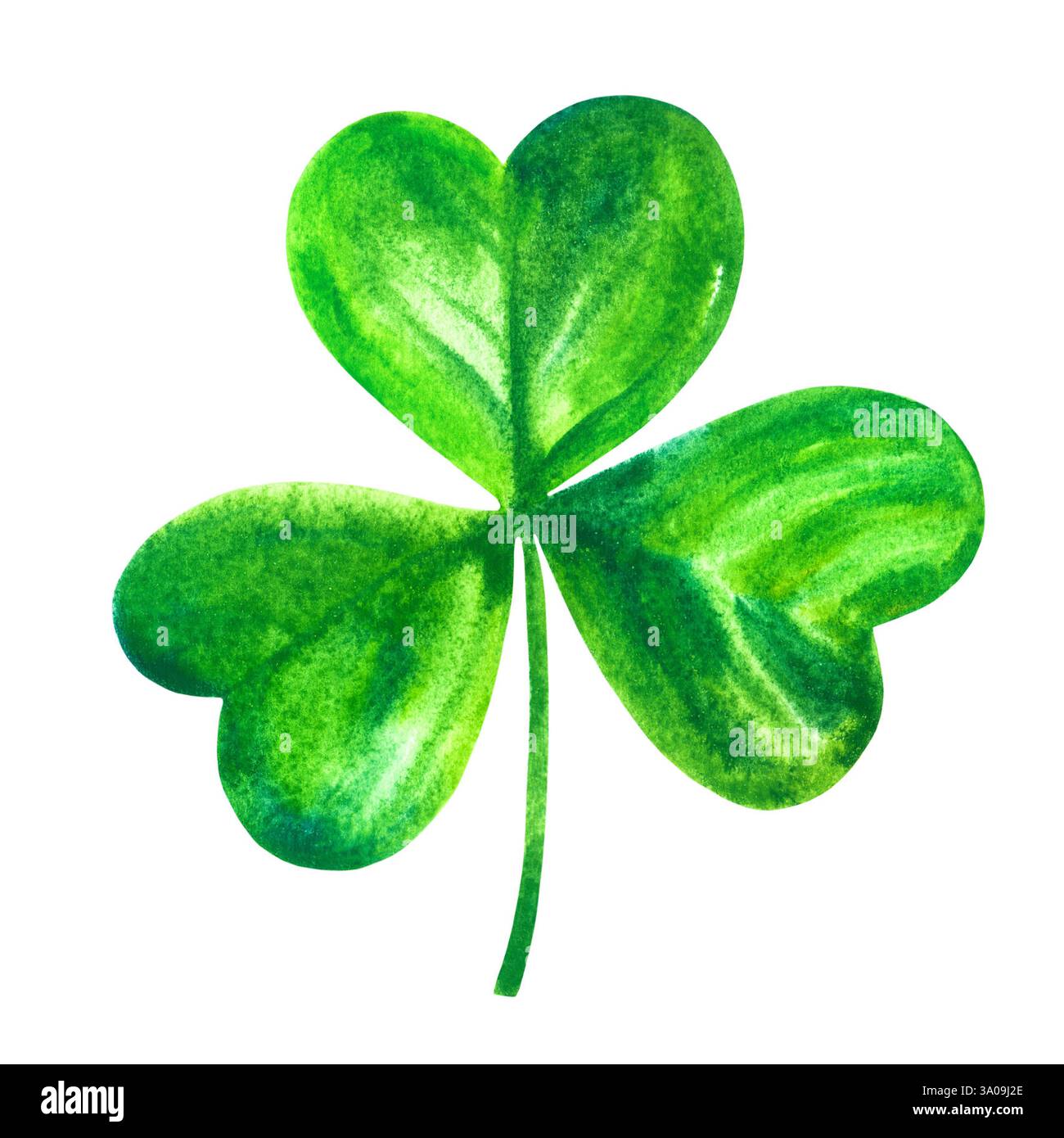 Green watercolor shamrock, Irish three leaf clover, an isolated design ...
