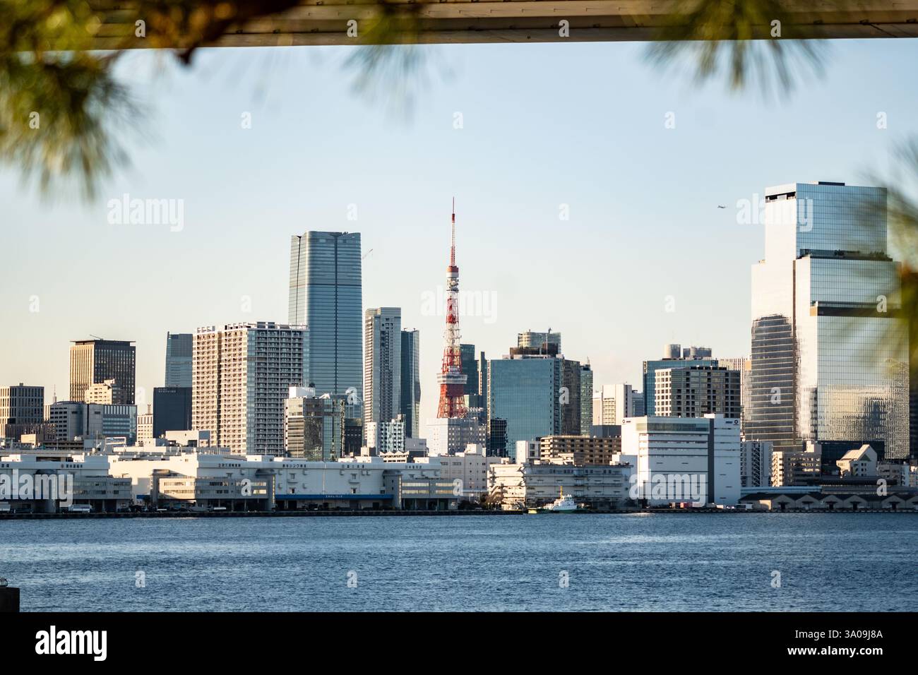 Breathtaking views of tokyo hi-res stock photography and images - Alamy