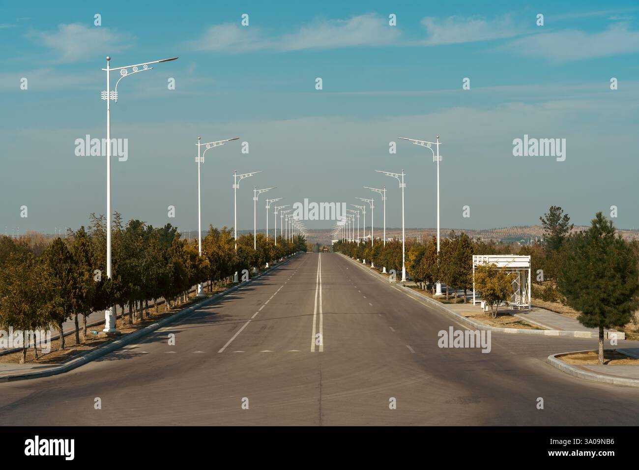 A long, empty road with a few trees lining the sides Stock Photo - Alamy