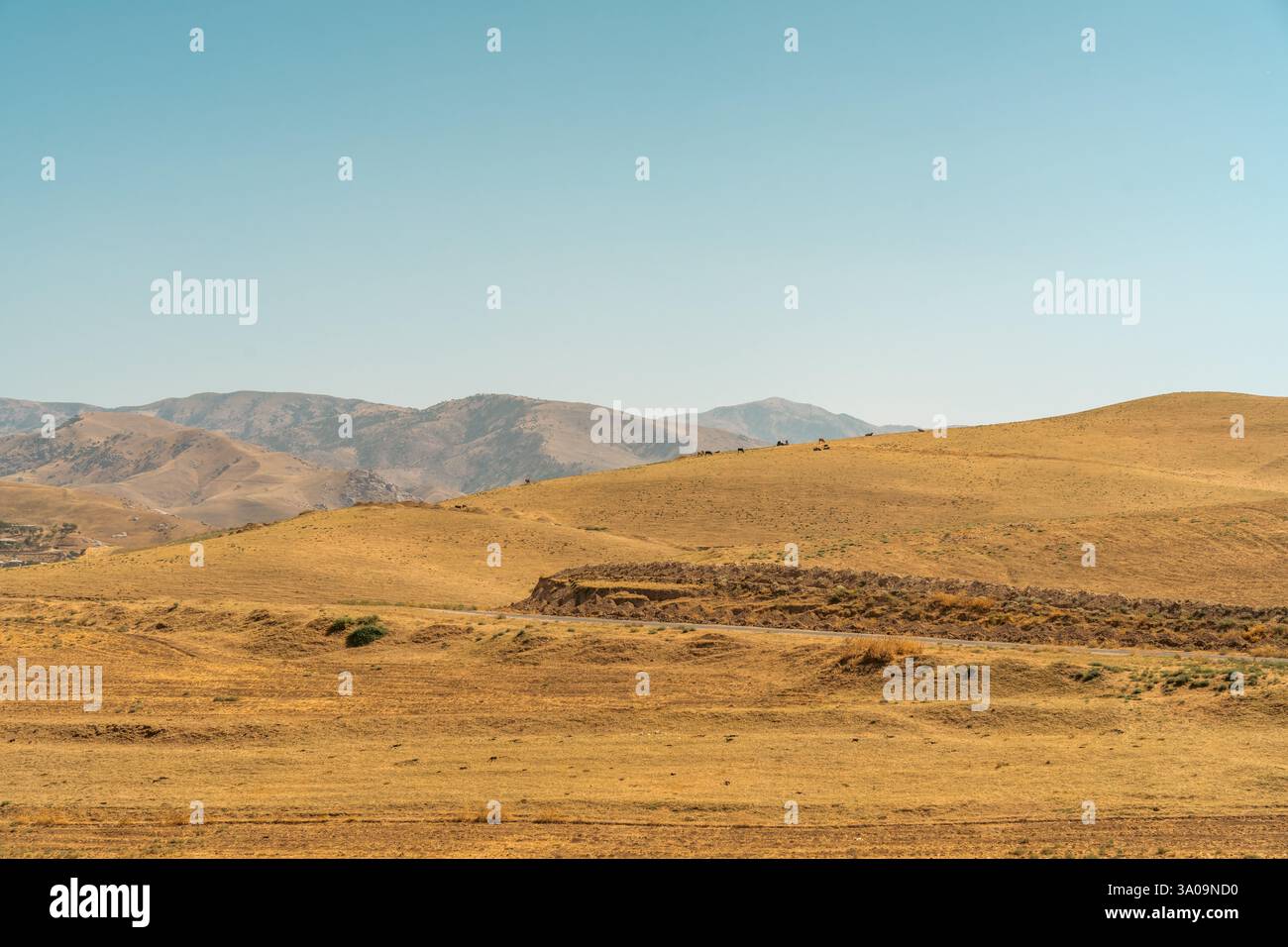 Beautiful vast desert landscape hi-res stock photography and images - Alamy