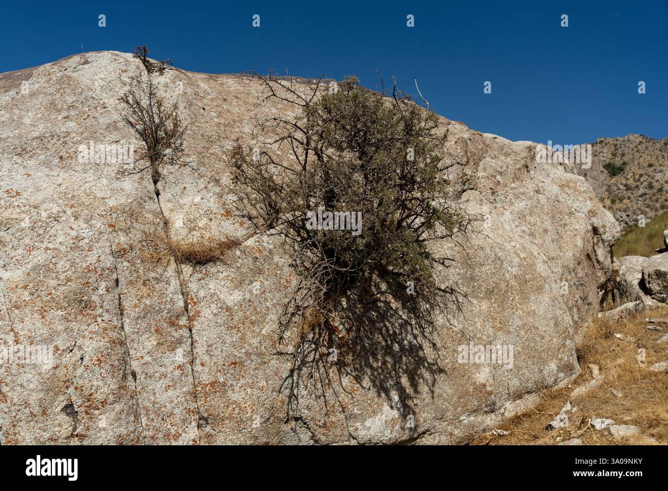 Small and large stones hi-res stock photography and images - Alamy