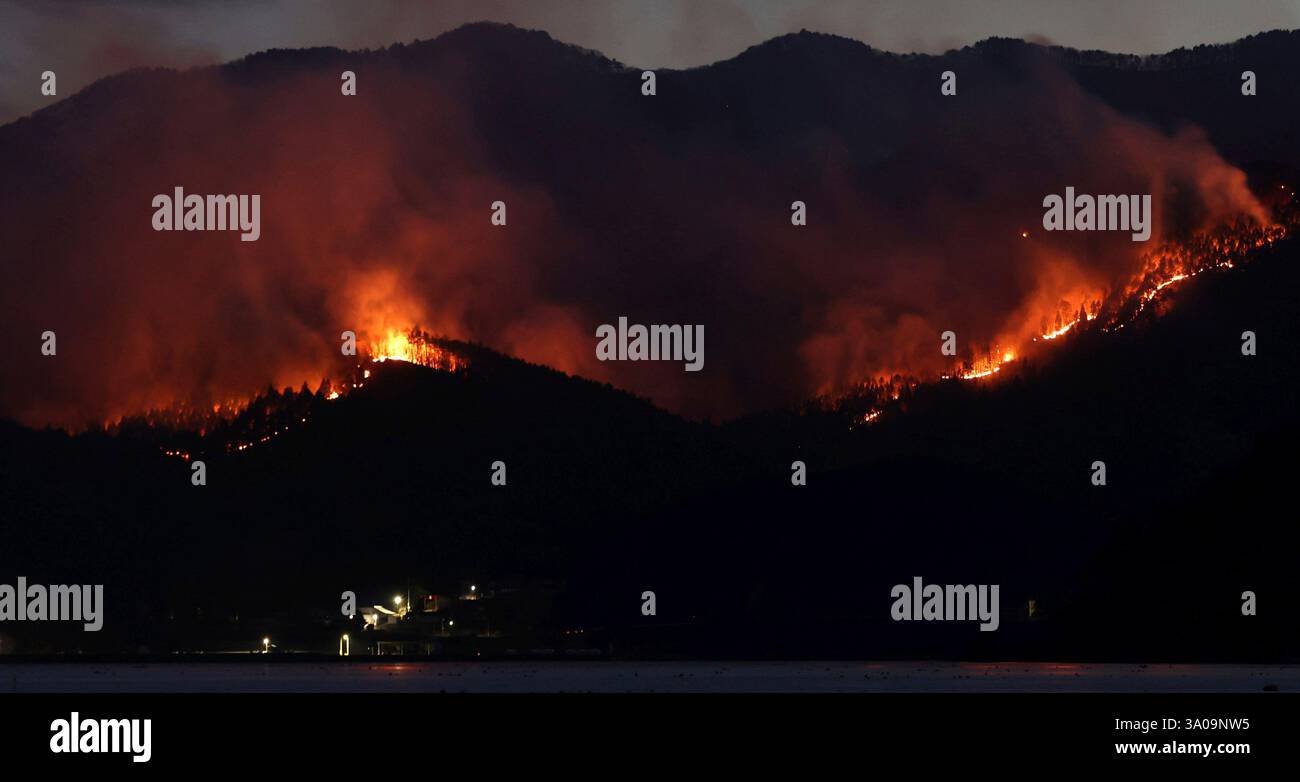 The forest fire that broke out on the 26th continues to spread and ...