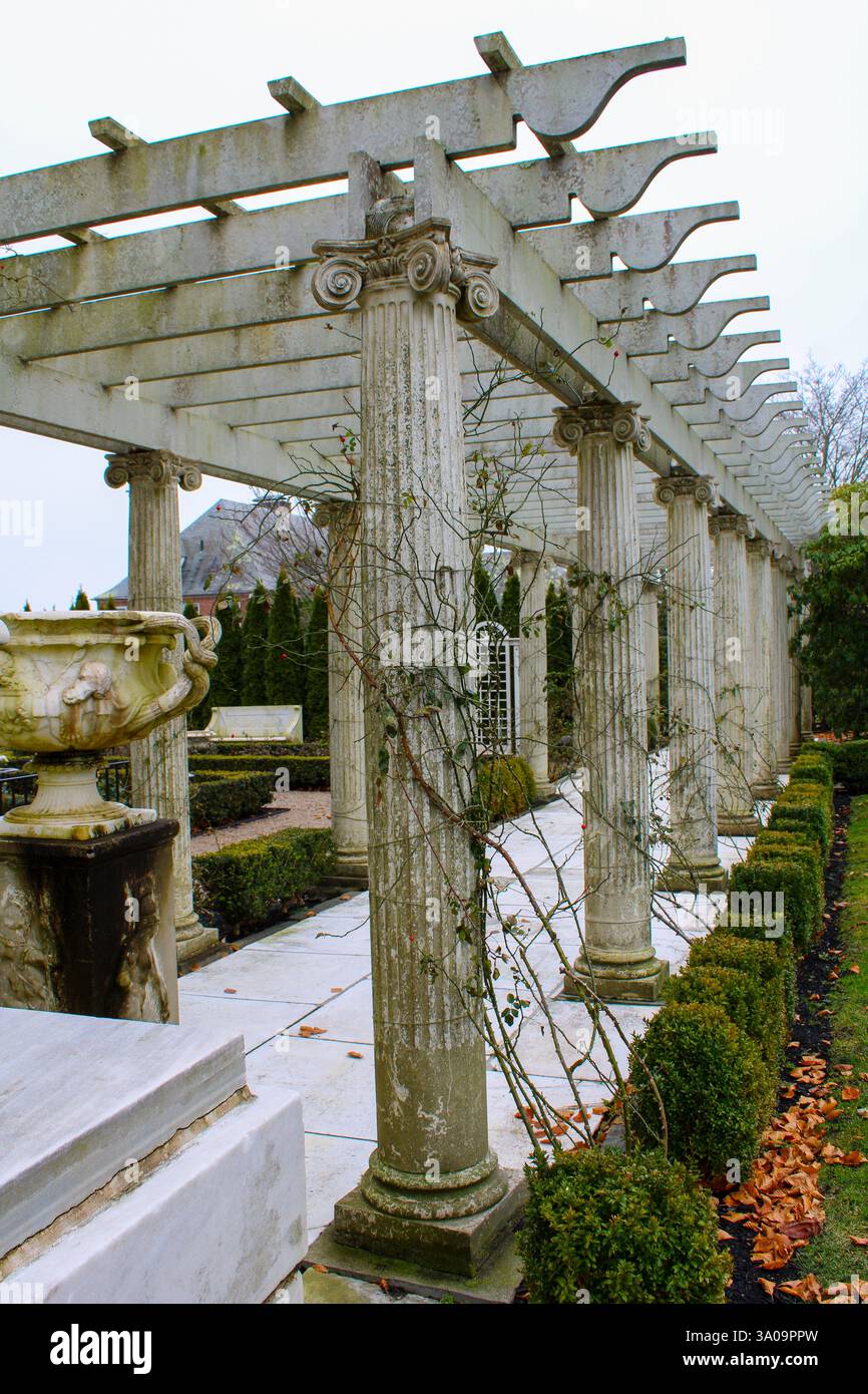 A rustic garden pergola covered in vines Stock Photo - Alamy
