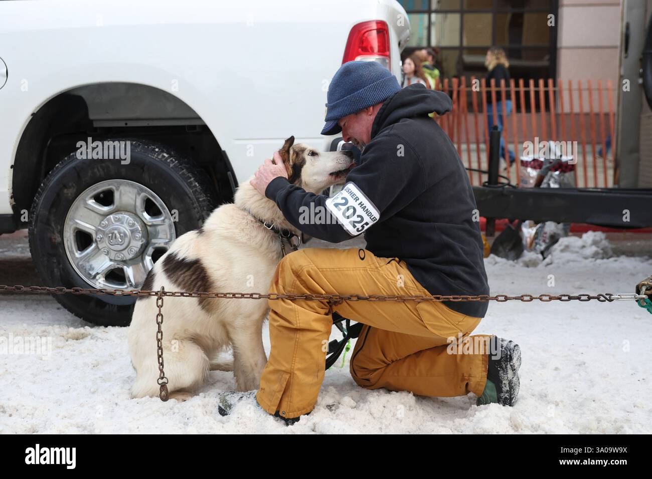 A musher handler greets a dog on the team of Jason Mackey (2), of ...