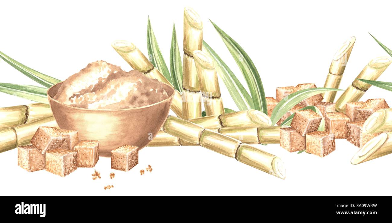Shugar cane with leaves and brown sugar cubes. Seamless border of ...
