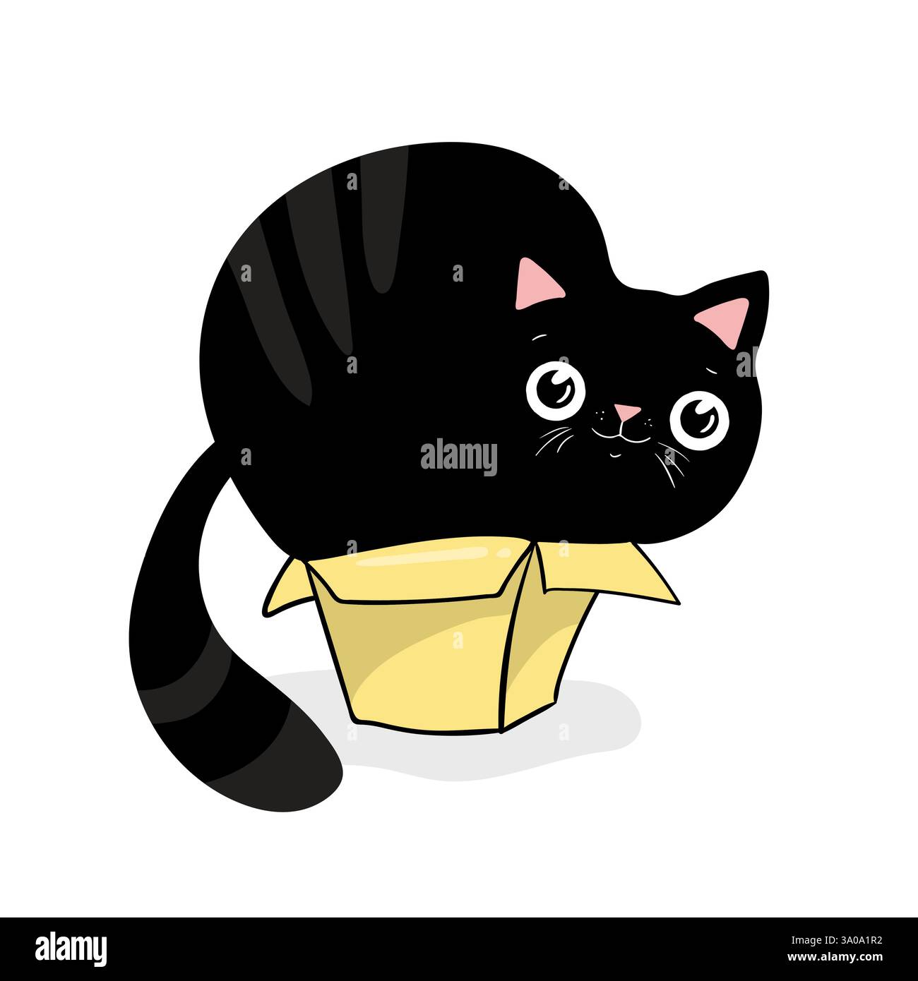 Cat sitting in cardboard Stock Vector Images - Alamy