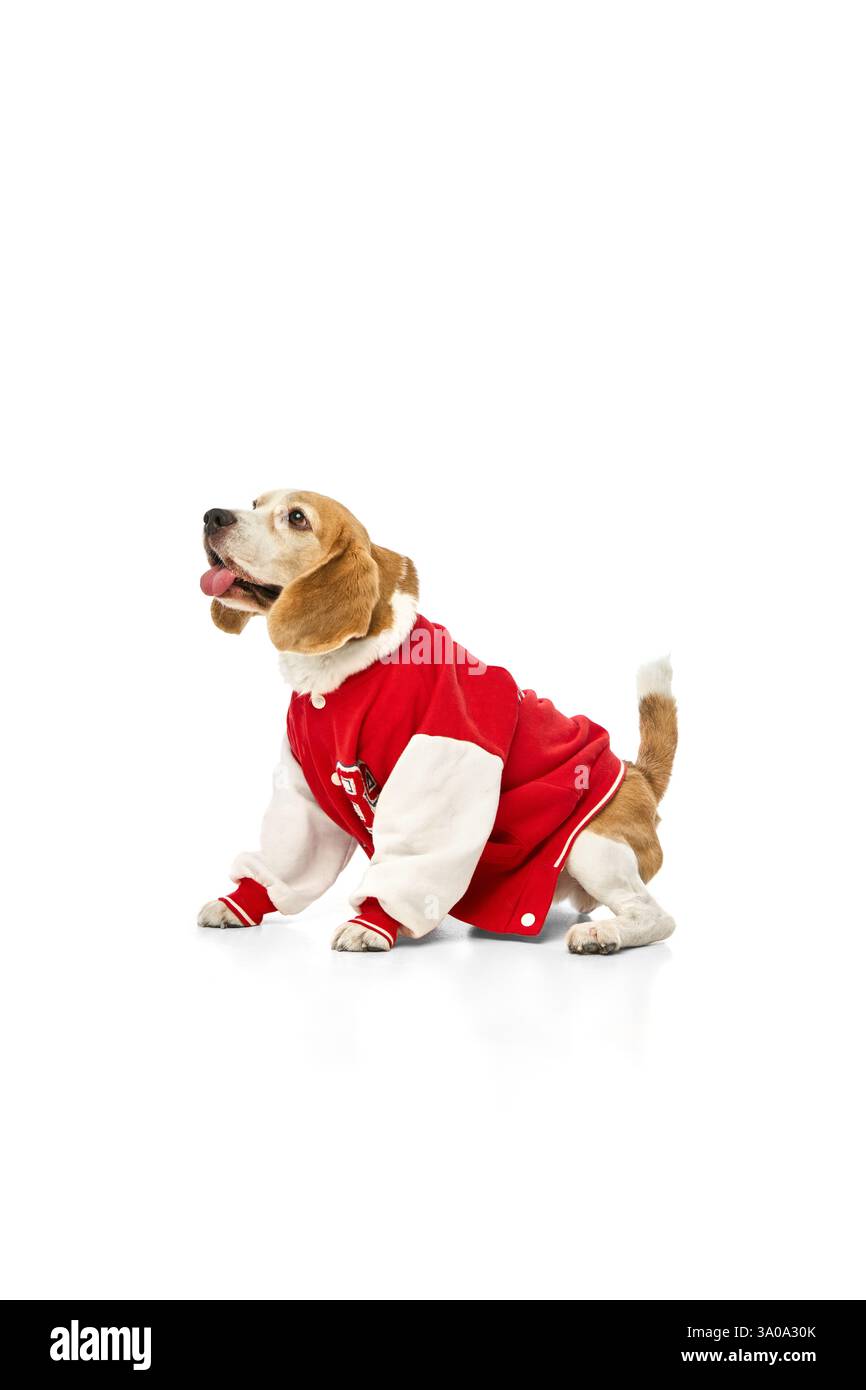 Varsity red Cut Out Stock Images & Pictures - Alamy