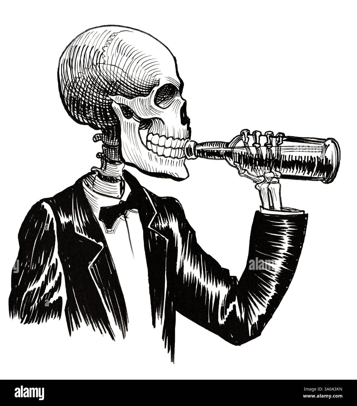 Skeleton drinking a bottle of wine. Skeleton smoking pipe. Hand drawn ...