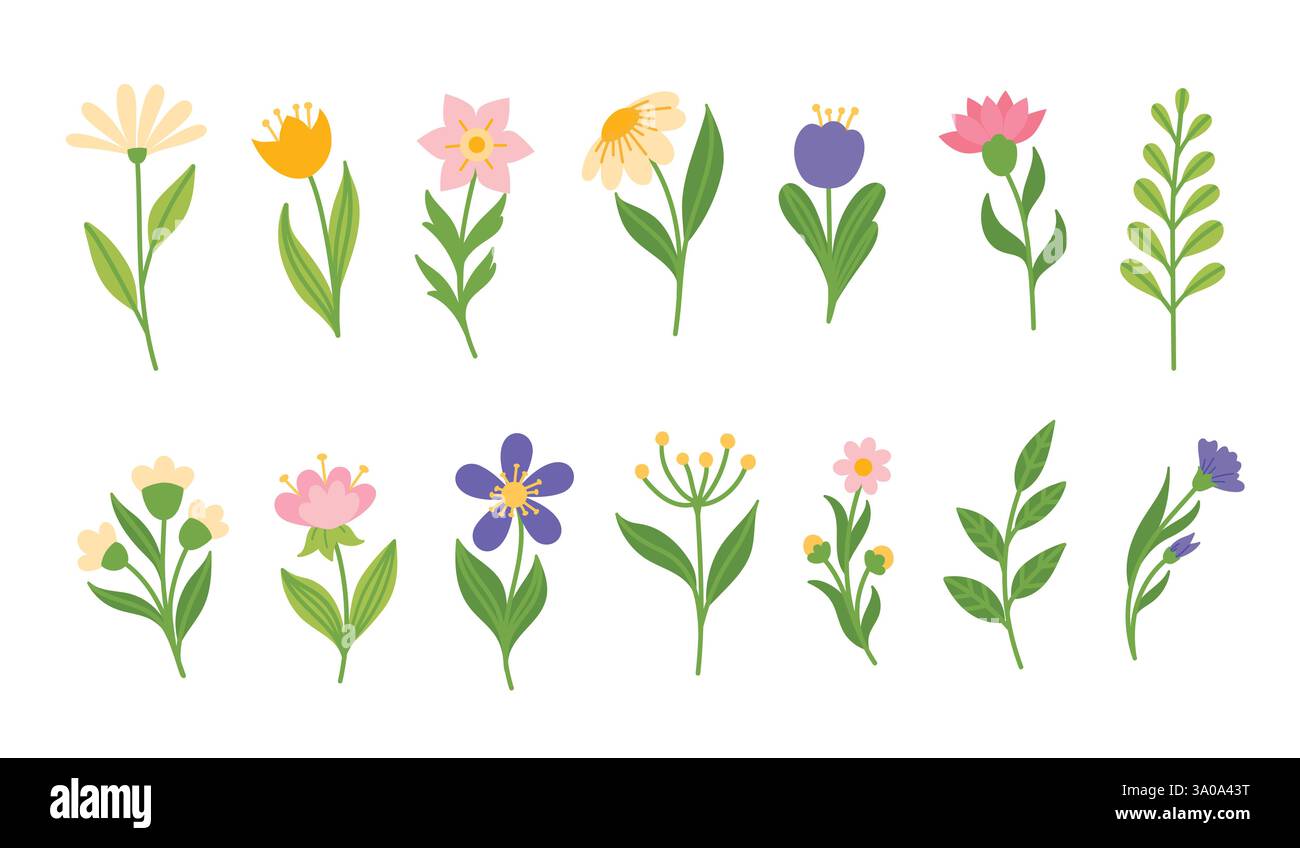 Background different summer flowers Stock Vector Images - Alamy