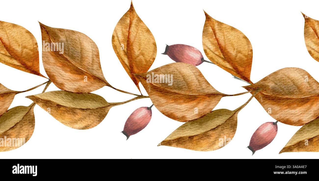 Floral border clipart hi-res stock photography and images - Alamy