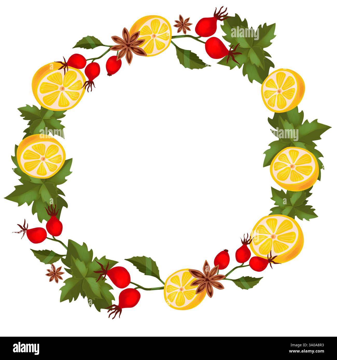 Decorative frame, wreath. Set of spices, herbs and berries for tea ...