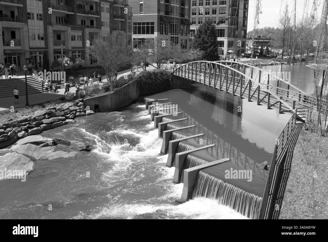 Scenic view of Reedy Park in downtown Greenville, South Carolina, USA, featuring lush greenery ...