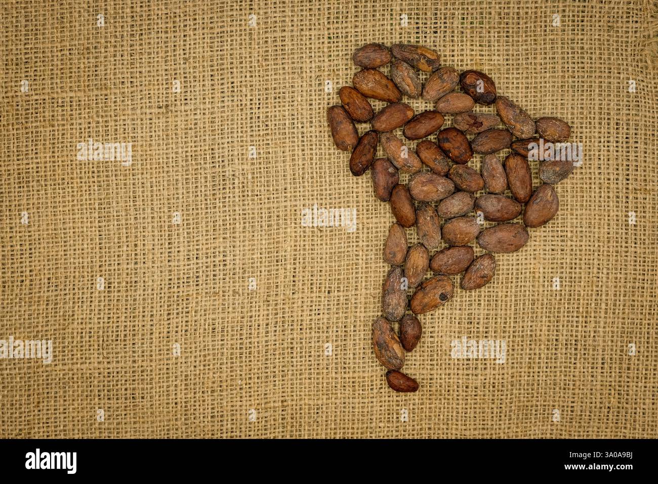 Map of South America made with cocoa beans on a jute canvas background ...