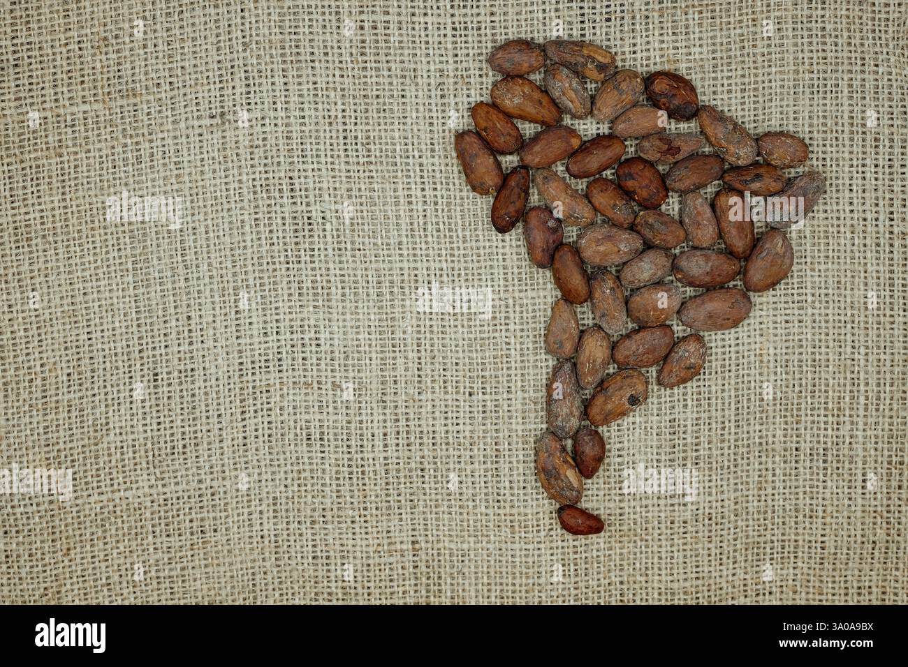 Map of South America made with cocoa beans on a jute canvas background ...