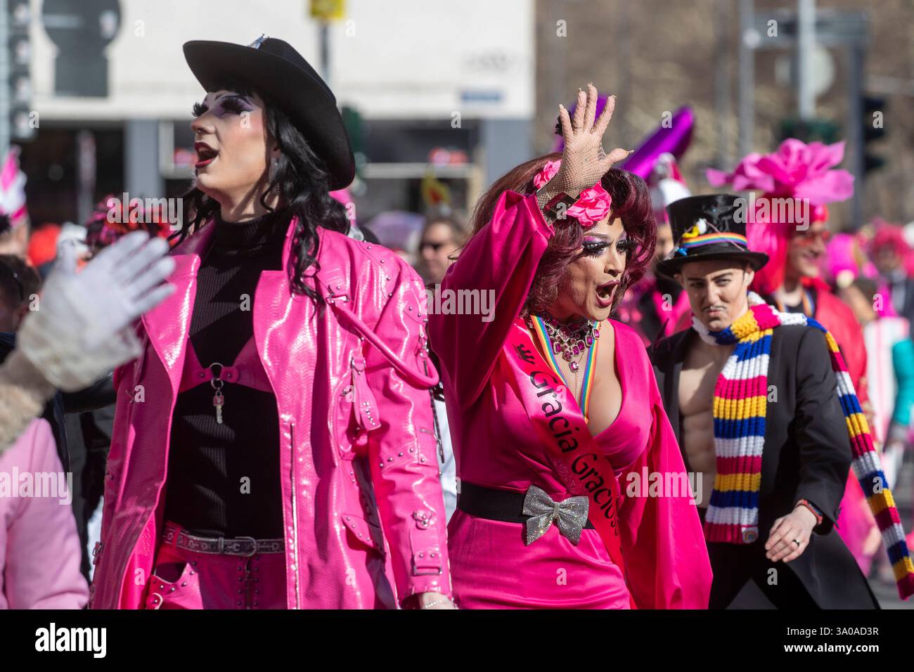 03 March 2025, Rhineland-Palatinate, Mainz: The carnival jesters ...