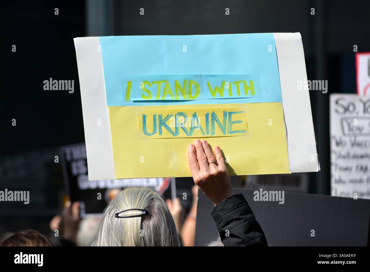 Signs of support for the Ukraine at a protest against Elon Musk and ...
