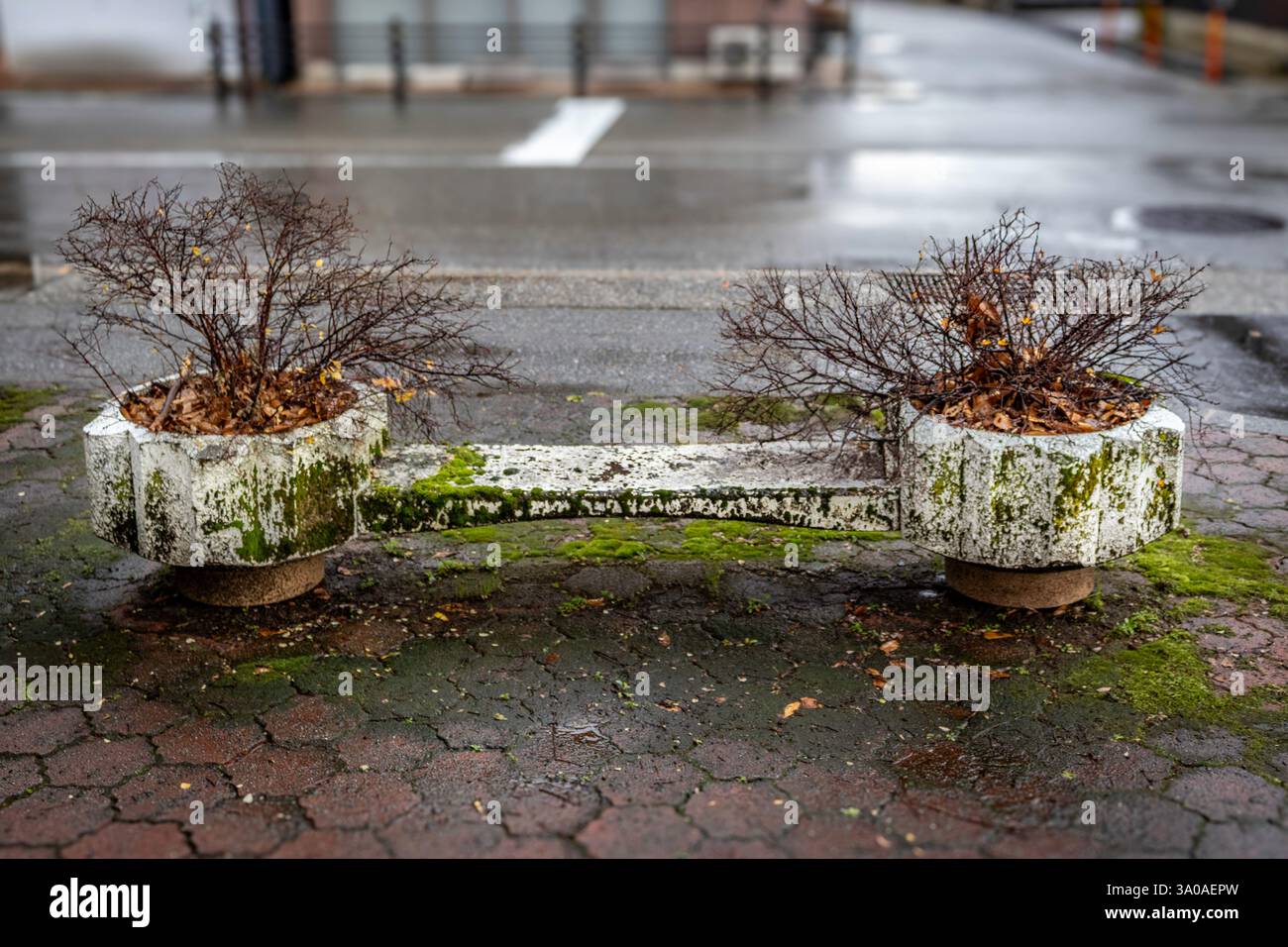 Stone bench at bus stop, Enkoji, Kanazawa, Japan Stock Photo - Alamy