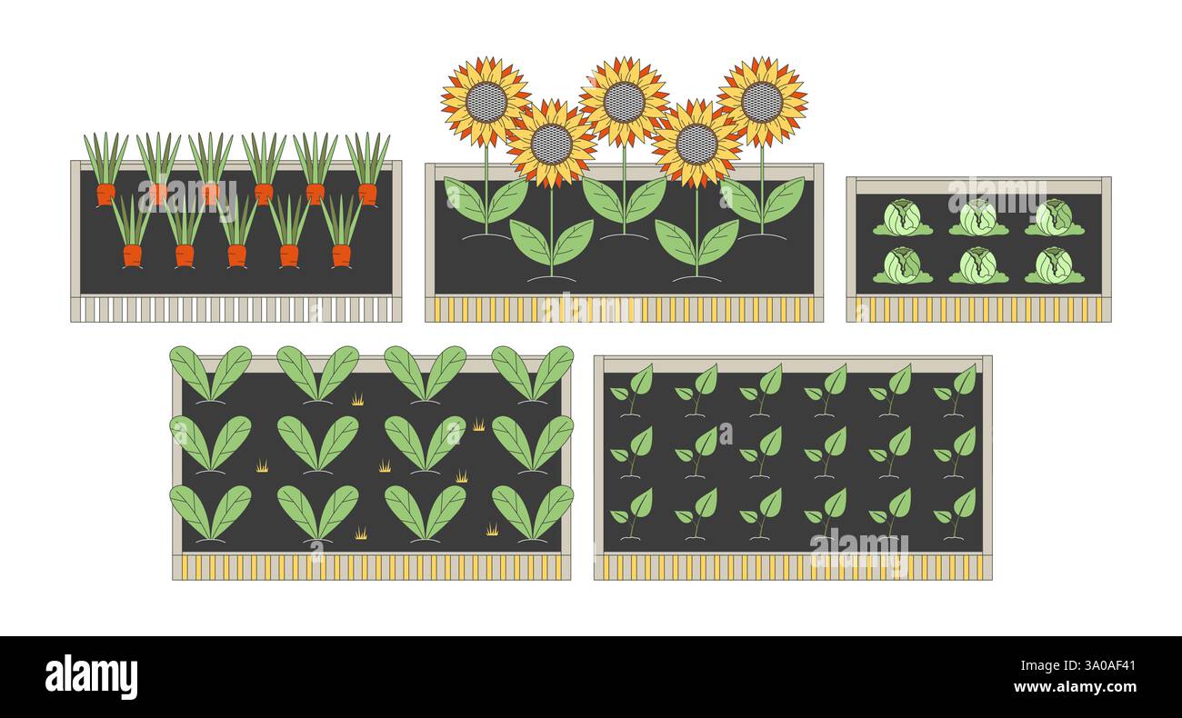Growing vegetables urban Stock Vector Images - Alamy