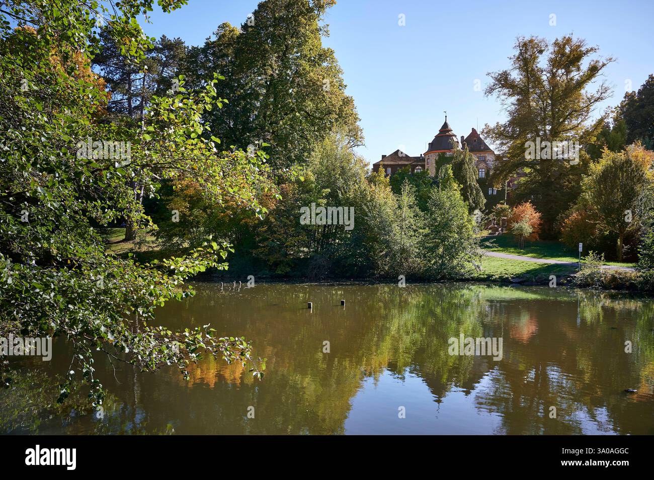 Sehenswürdigkeit, Ententeich im Park Laubach bei sonnigem Herbstwetter ...