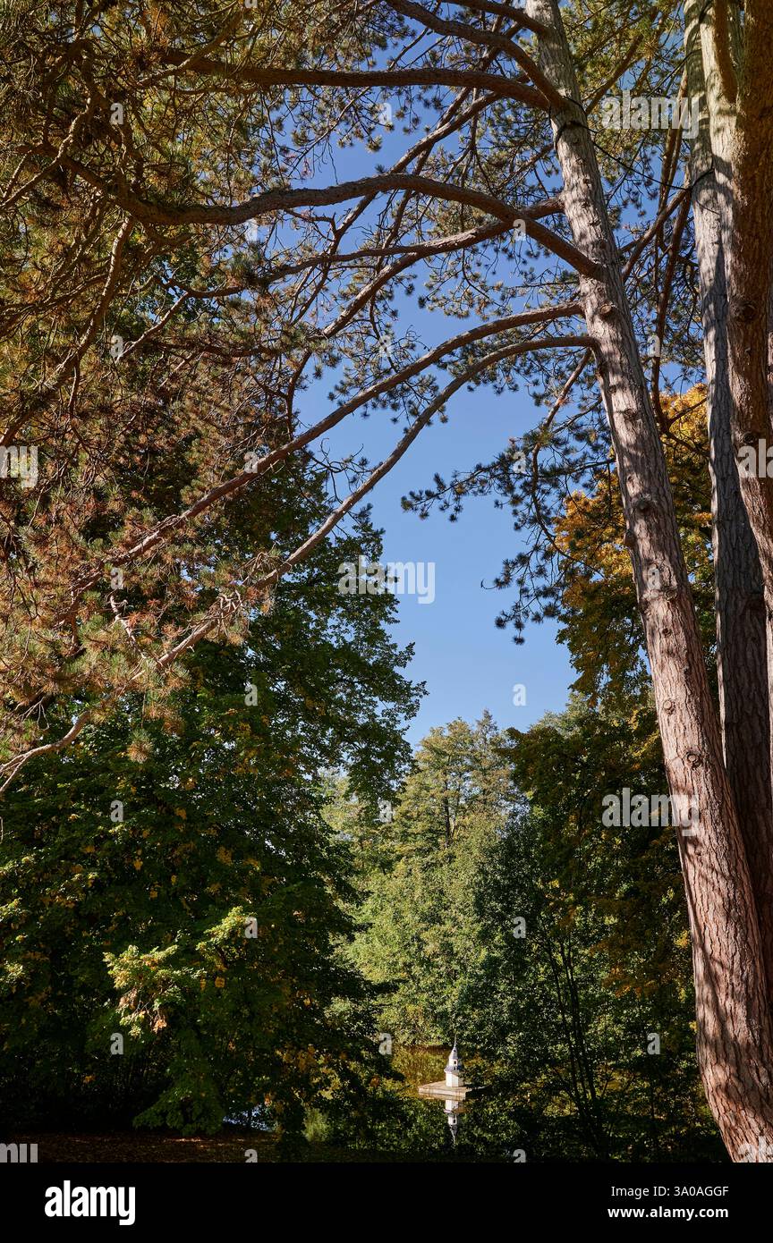 Sehenswürdigkeit, Park Laubach bei sonnigem Herbstwetter, englischer ...