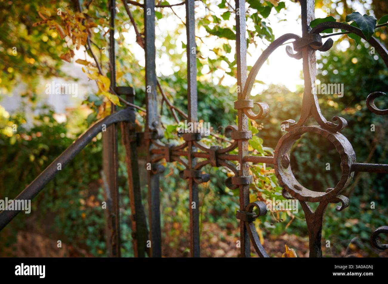 Sehenswürdigkeit, Park am Schloss Laubach bei sonnigem Herbstwetter ...