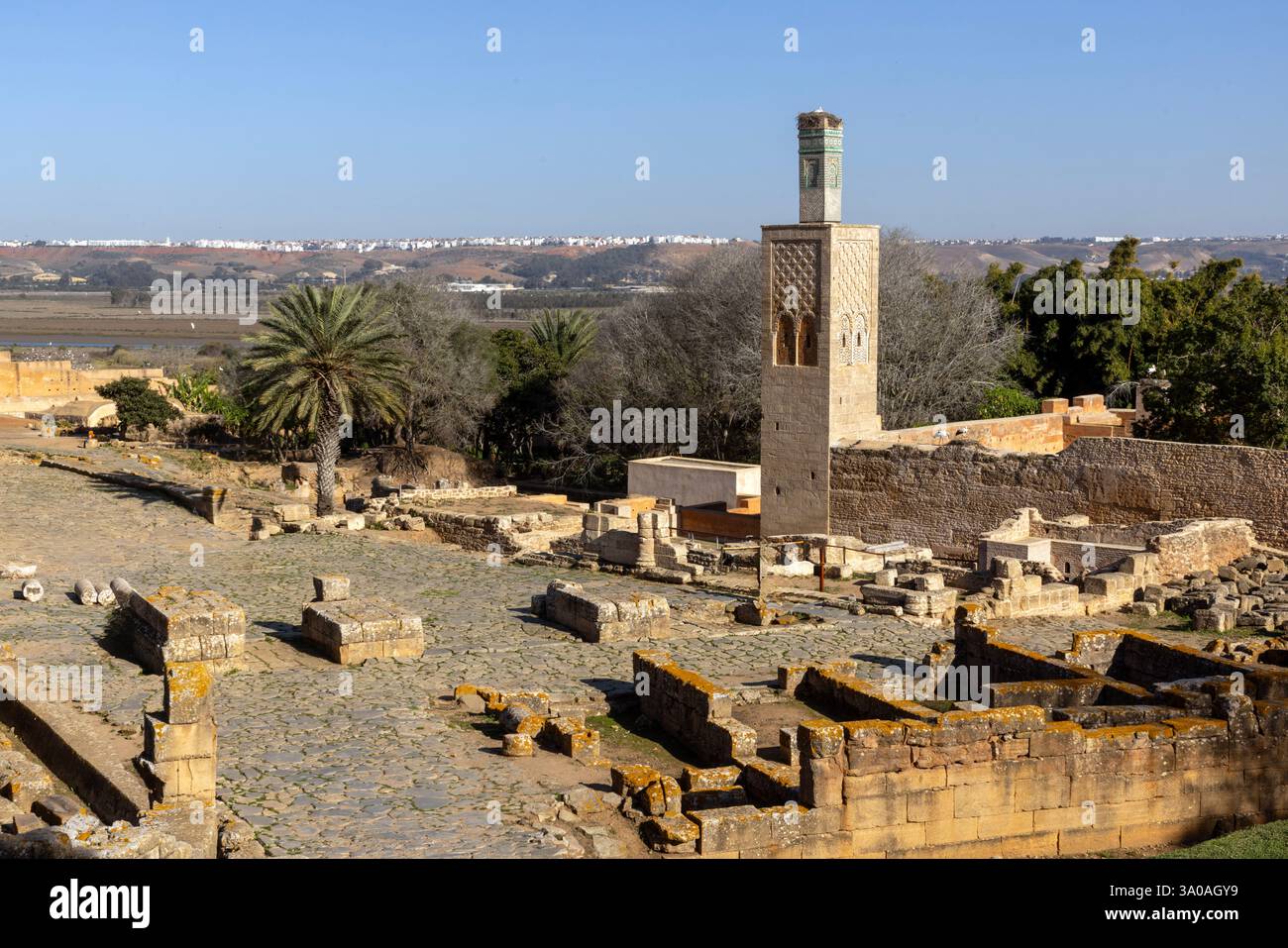 The Chellah, situated on the south bank of the Bou Regreg estuary in ...