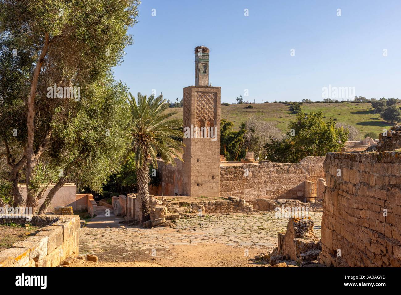 The Chellah, situated on the south bank of the Bou Regreg estuary in ...