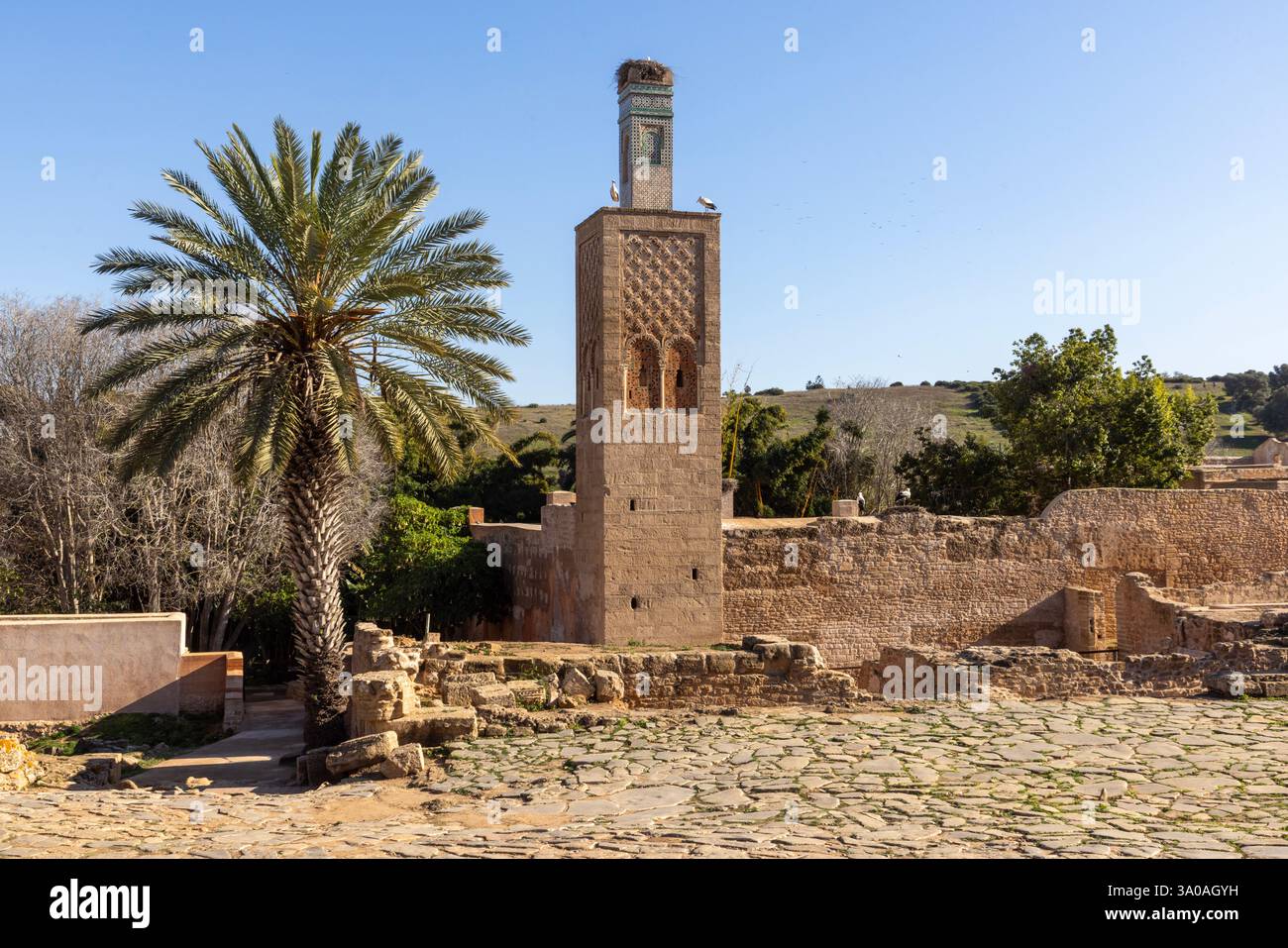 The Chellah, situated on the south bank of the Bou Regreg estuary in ...