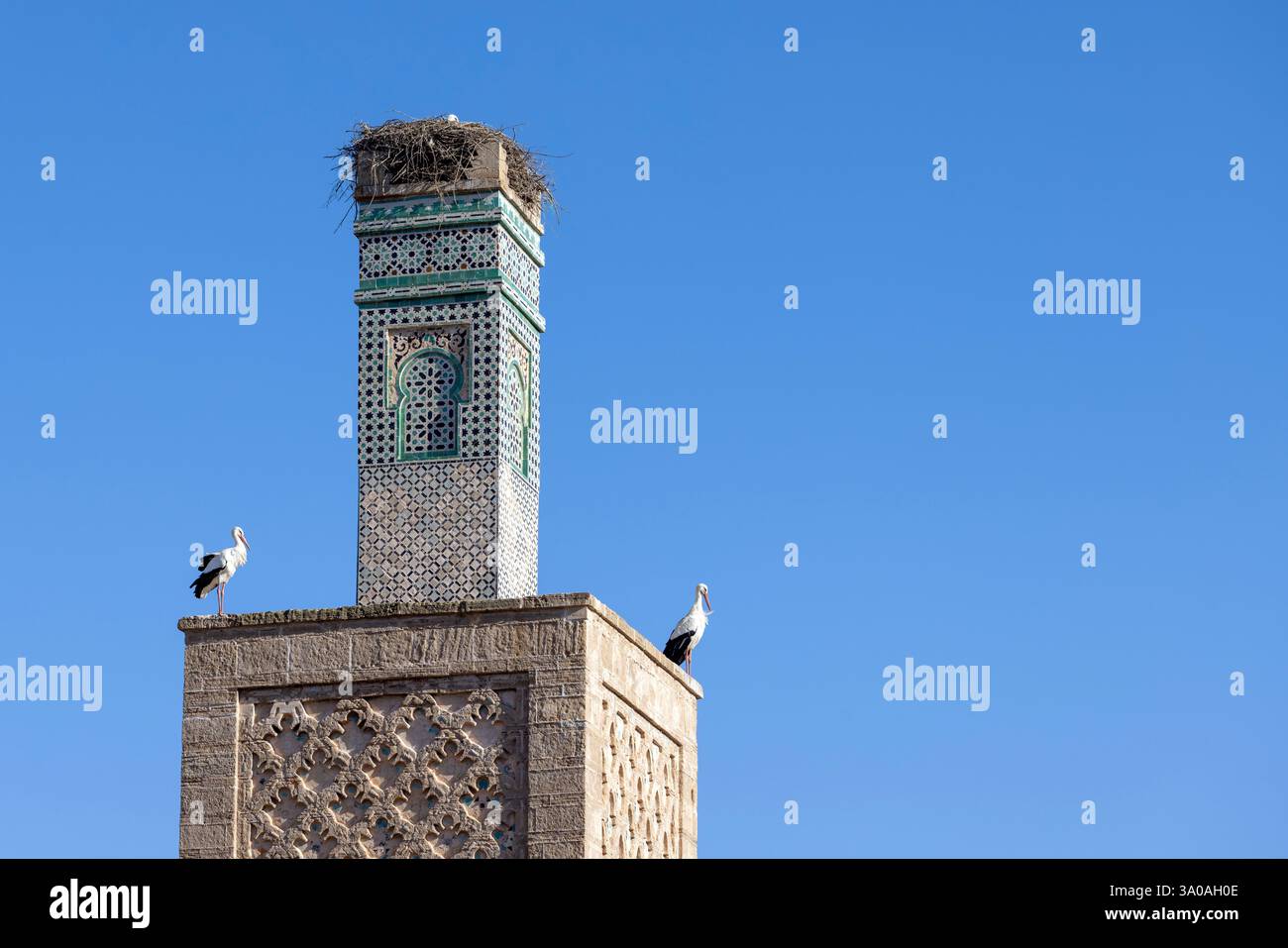 The Chellah, situated on the south bank of the Bou Regreg estuary in ...
