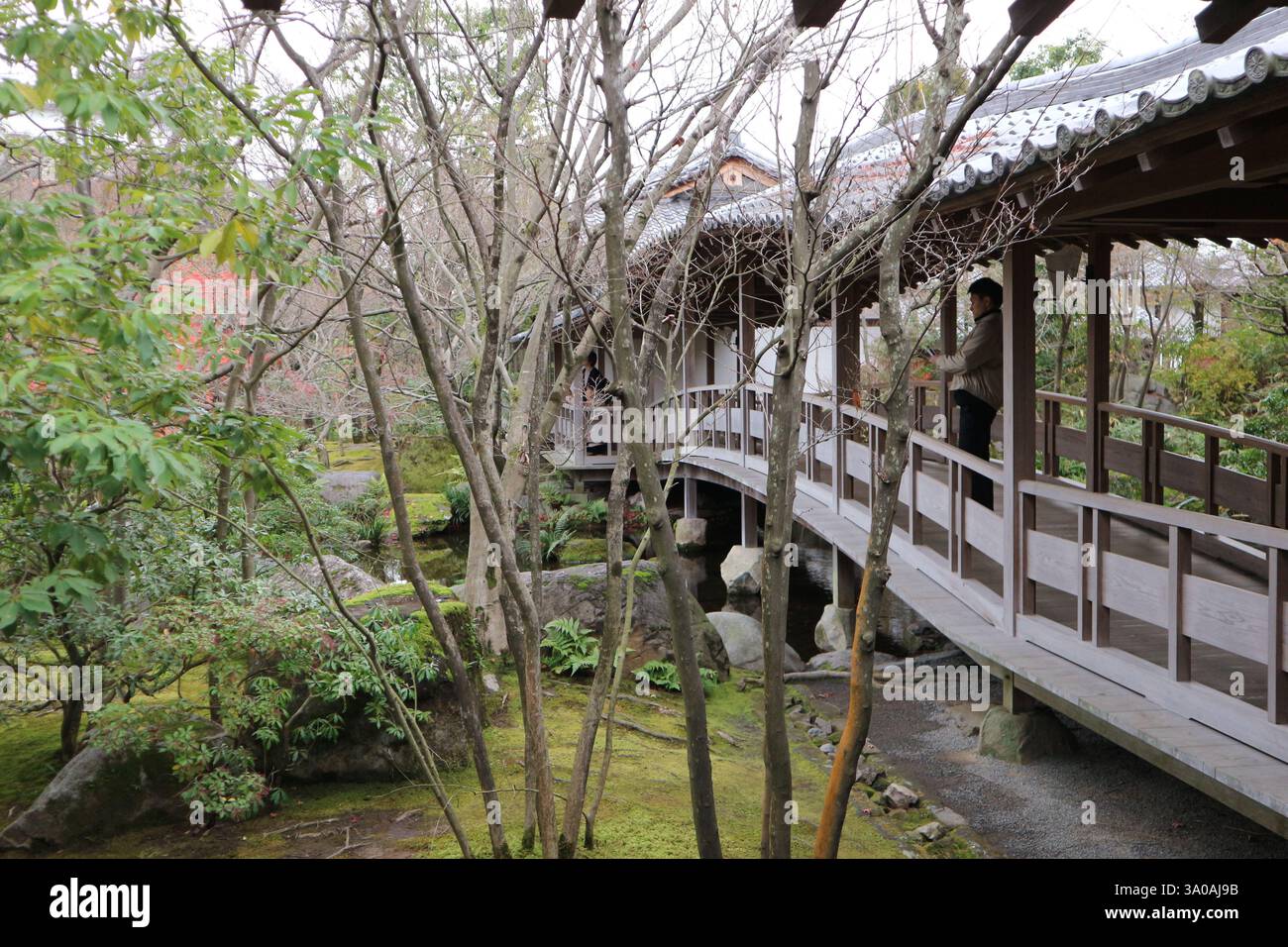 A traditional wooden bridge extending over a lush Japanese garden ...
