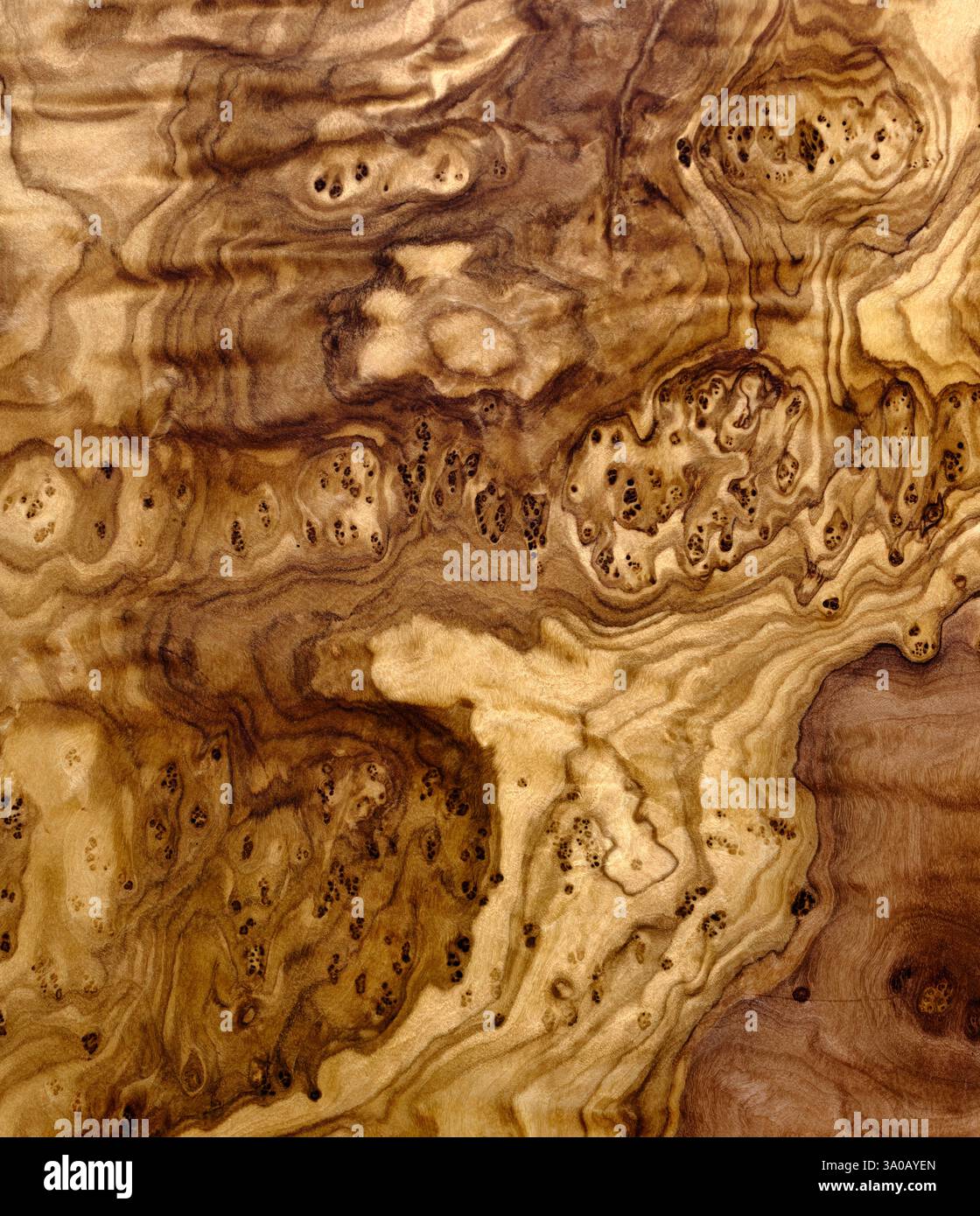 Olive wood grain hi-res stock photography and images - Alamy